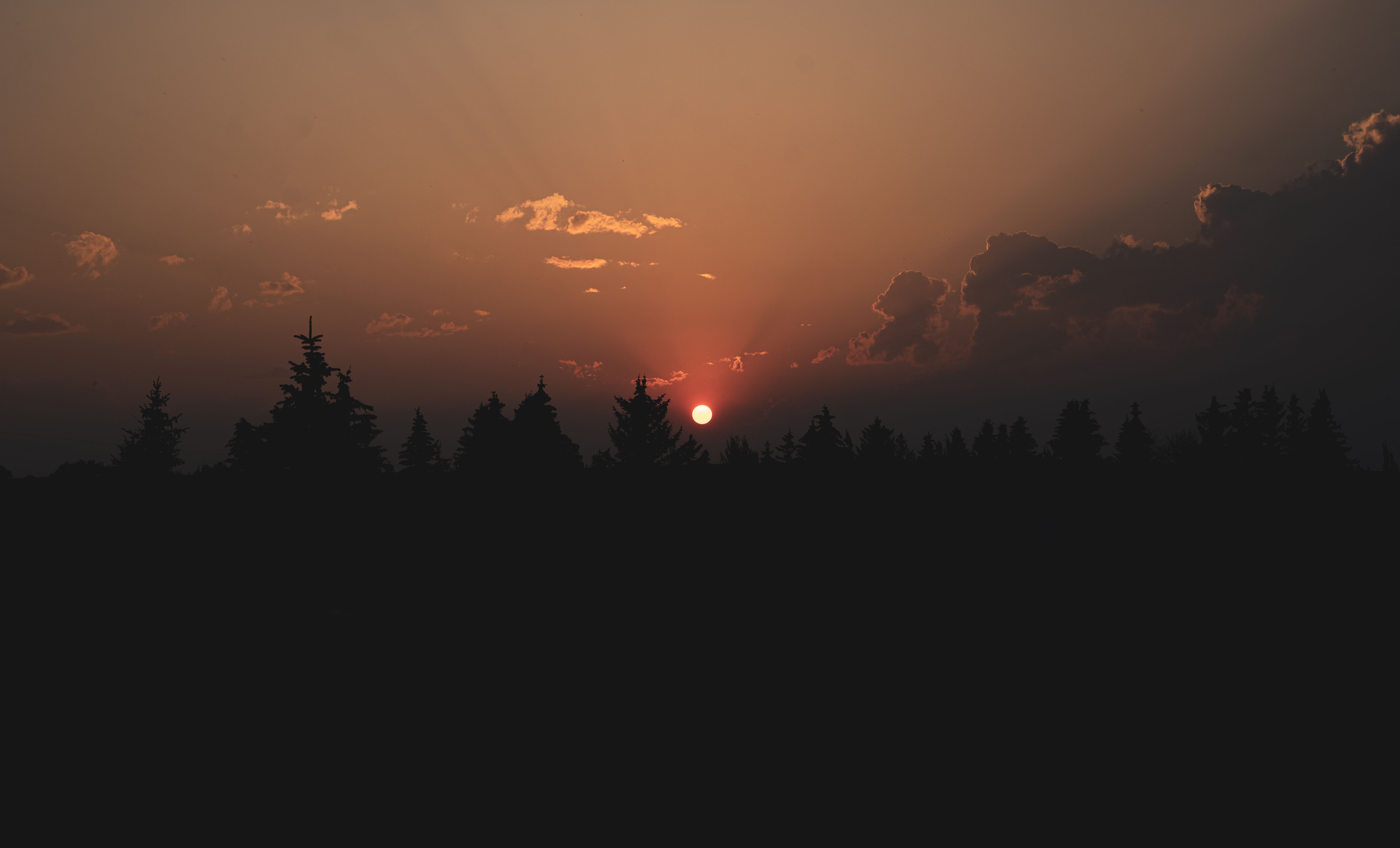 Red Setting Sun Over the Forest · Free Stock Photo