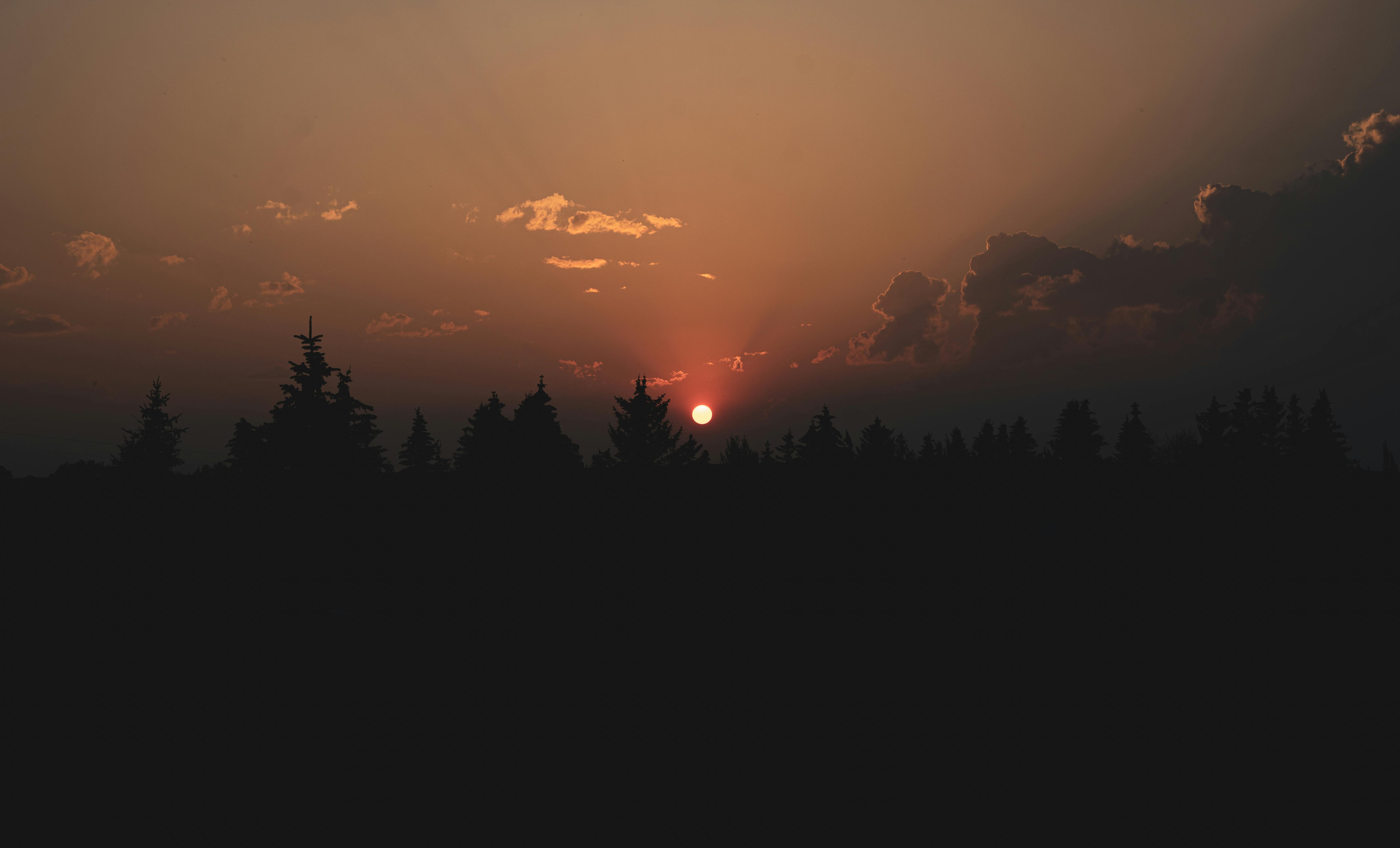 Red Setting Sun Over the Forest · Free Stock Photo