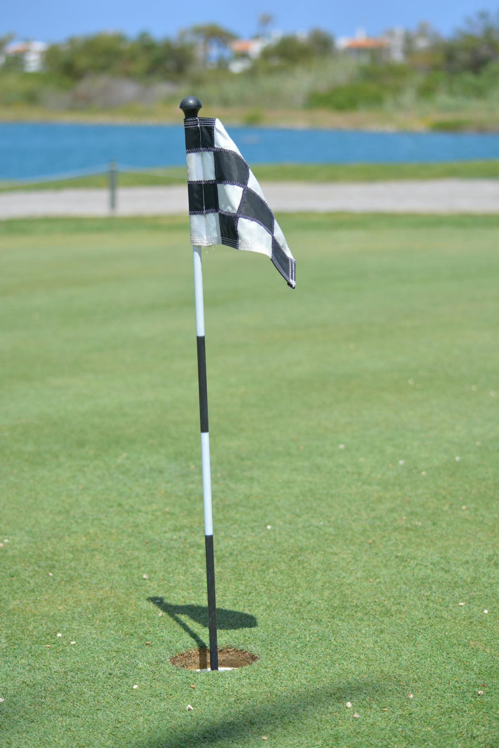 Checkered Flag Photos, Download The BEST Free Checkered Flag Stock ...