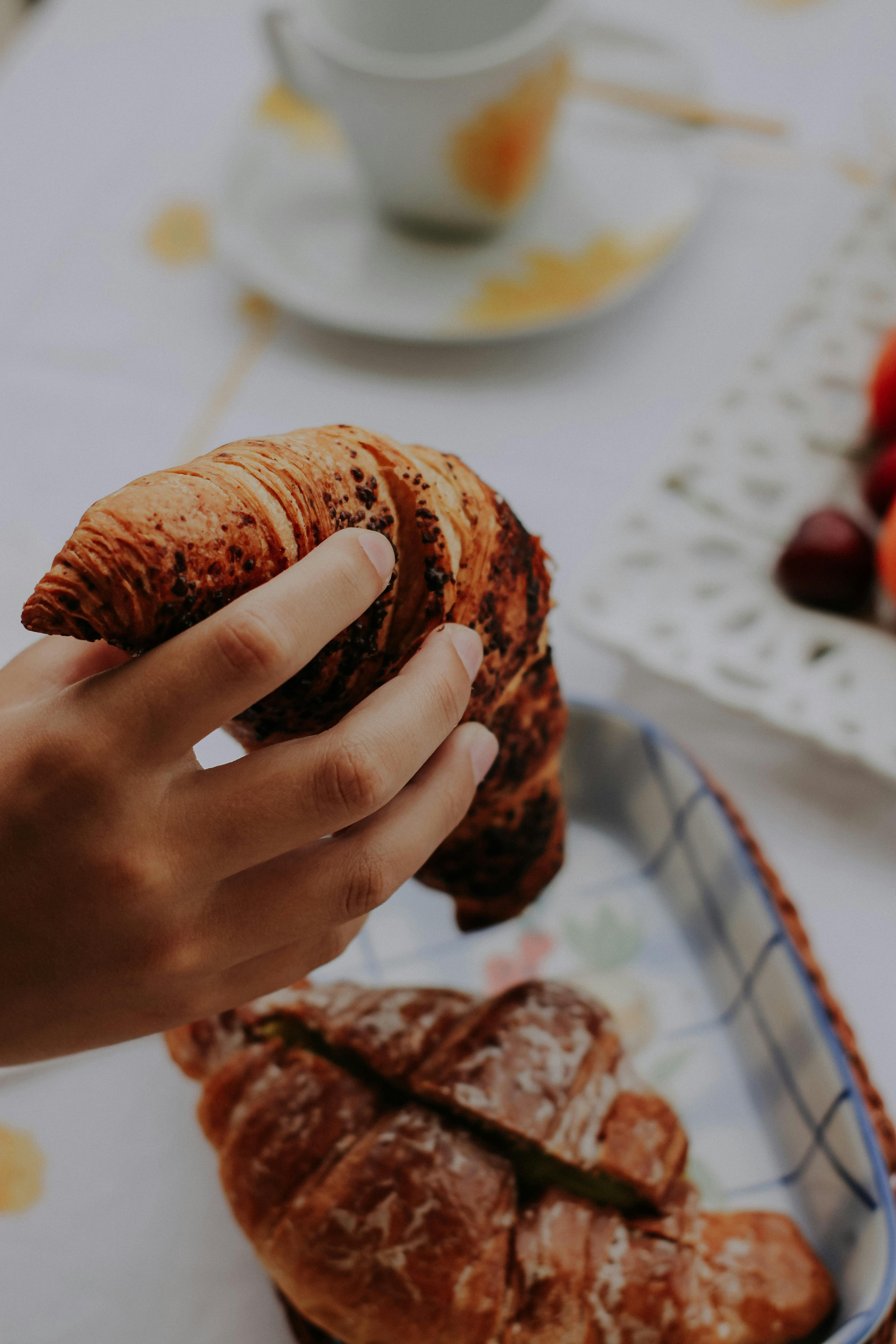 Personal Food Photos, Download The BEST Free Personal Food Stock Photos ...