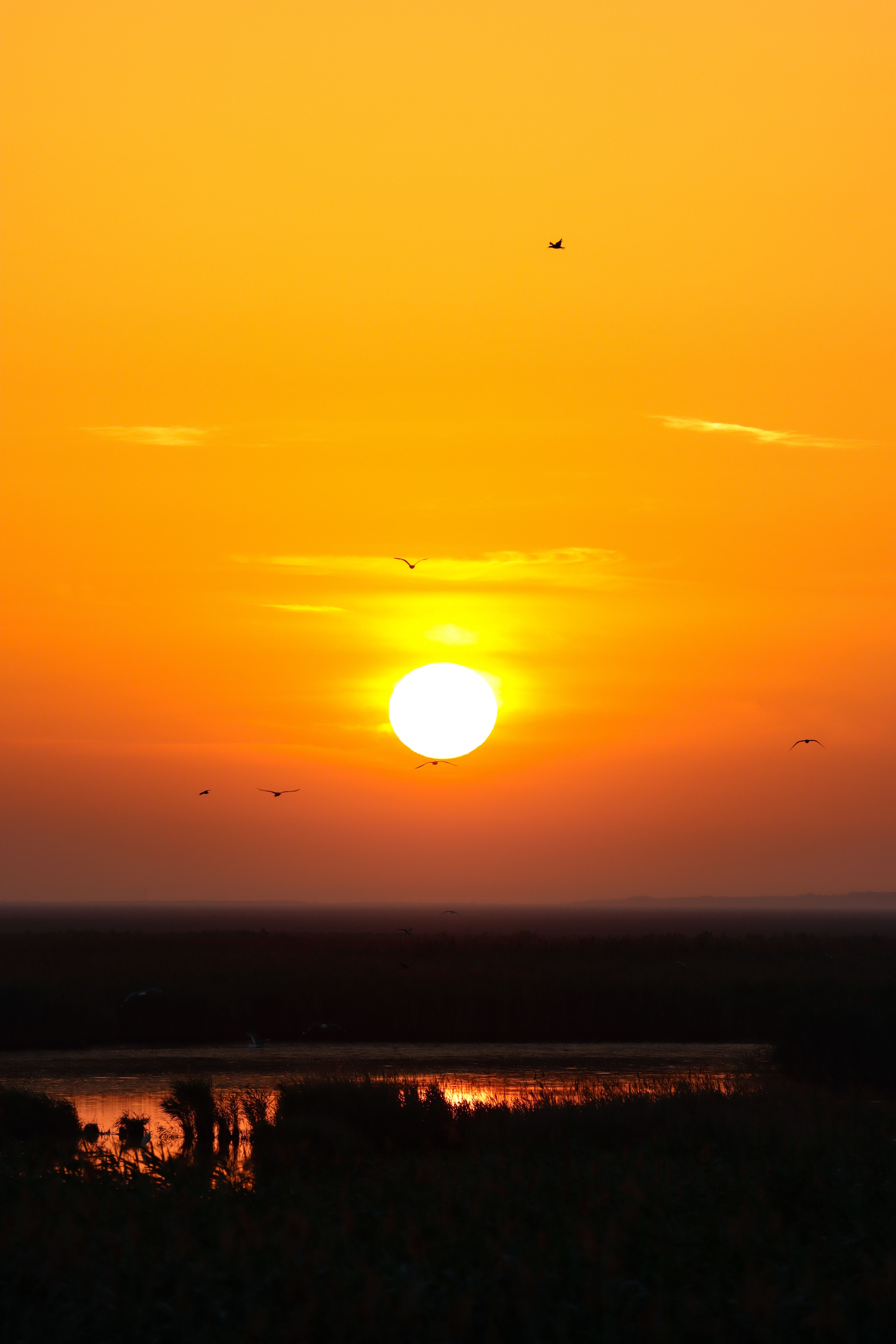 Sun Reflex Photos, Download The BEST Free Sun Reflex Stock Photos & HD ...
