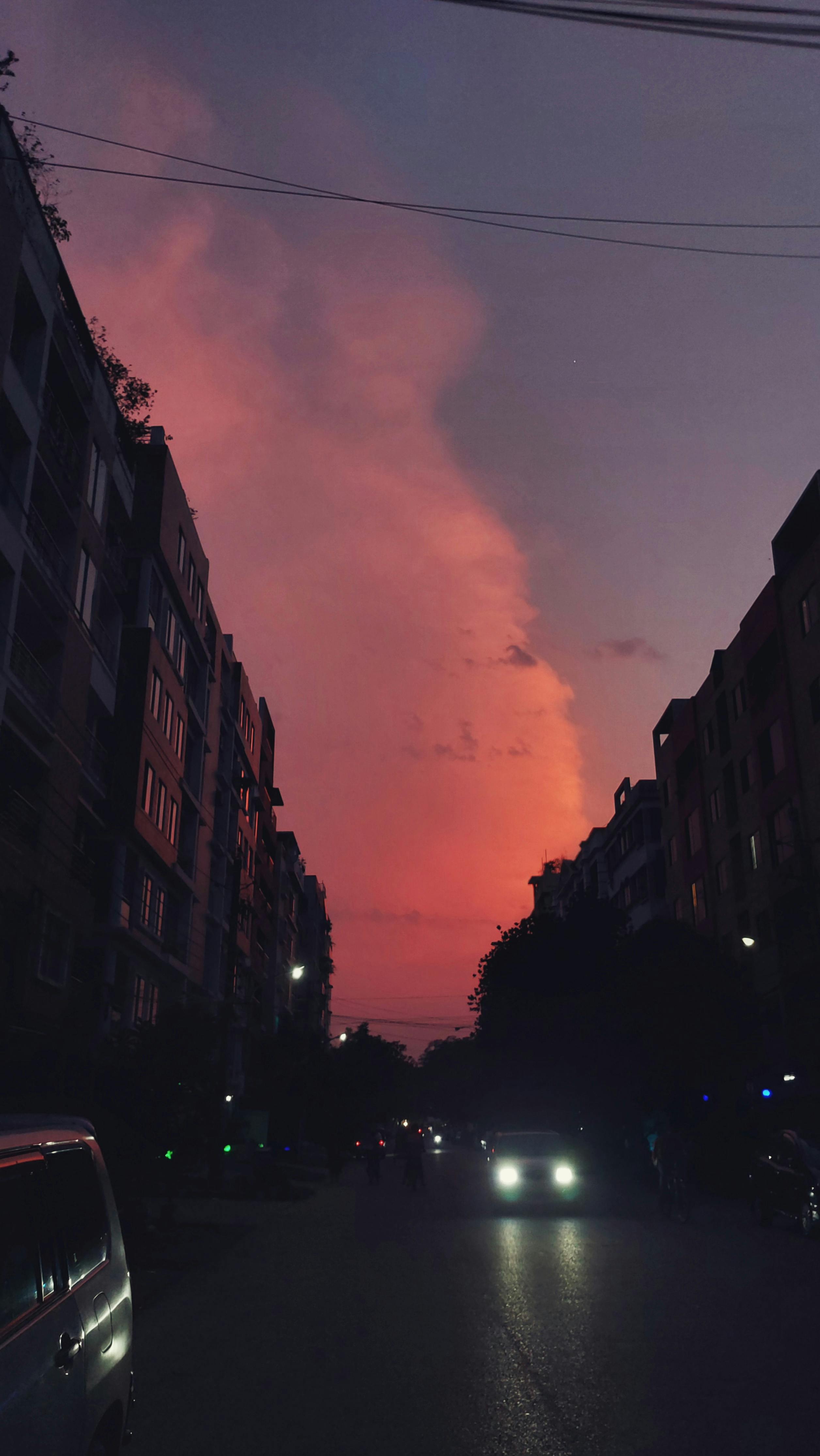 Sadia Ashraf - 写真