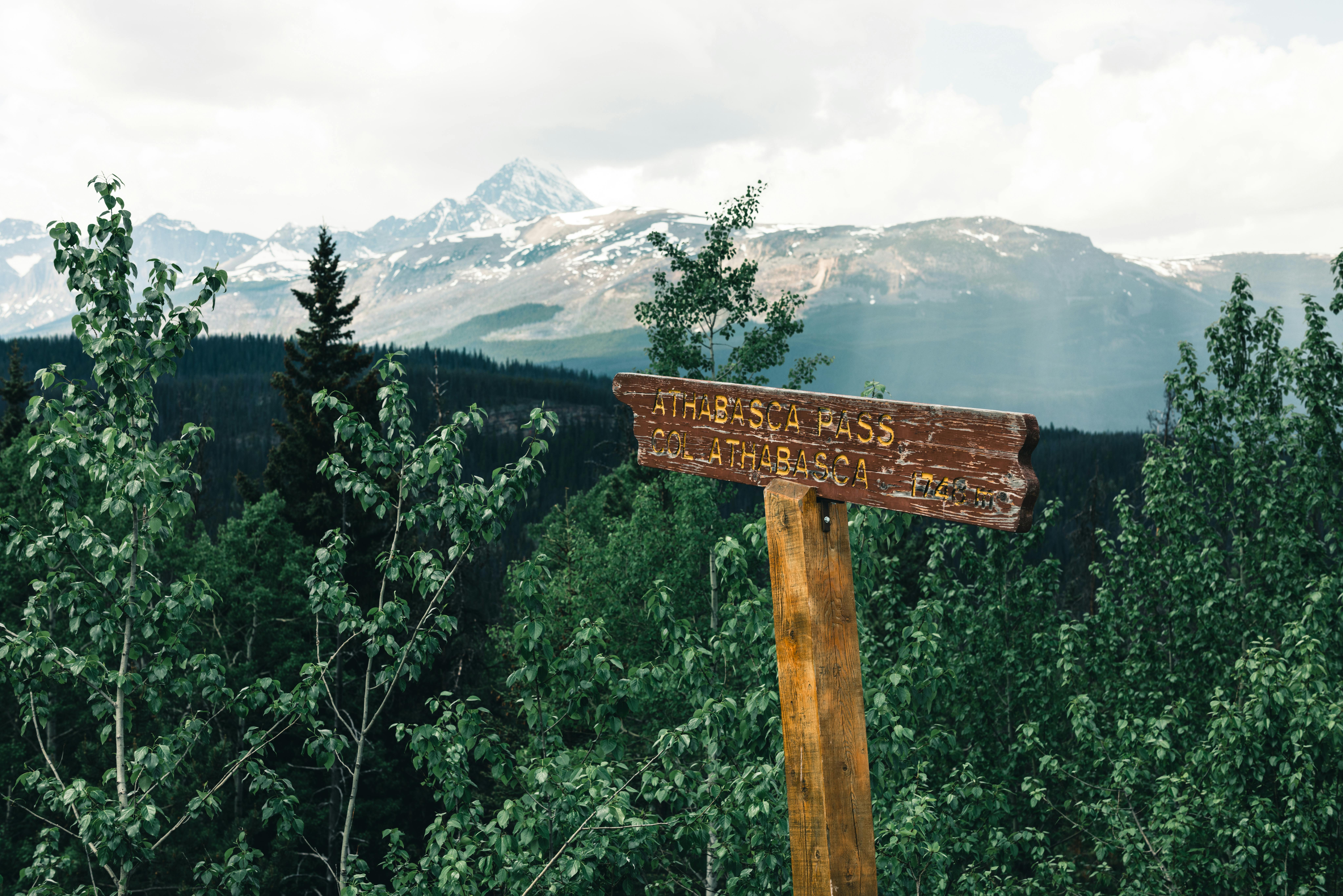 A wooden sign with mountains in the background · Free Stock Photo
