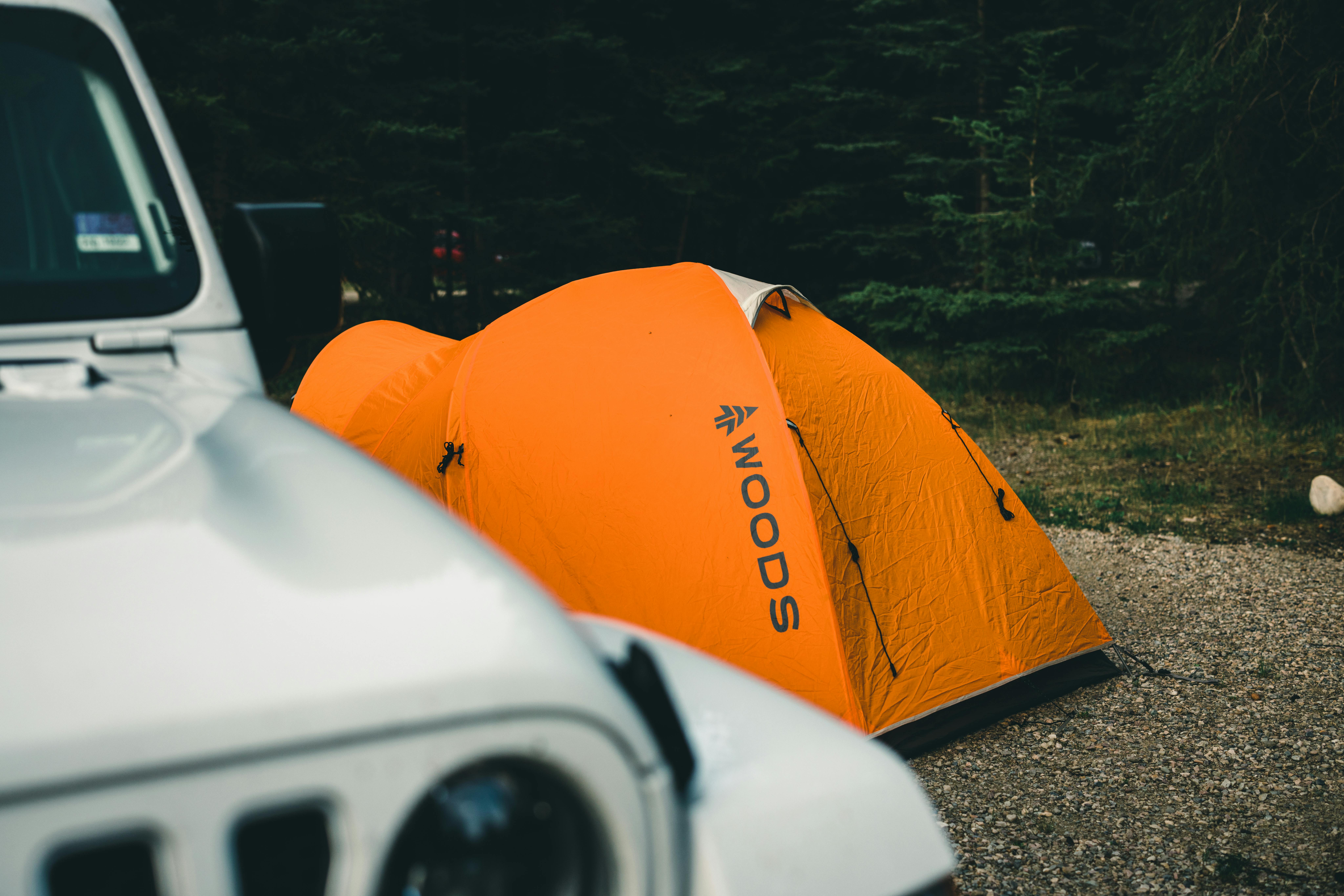 Gray Dome Tent Surrounded by Tall Trees · Free Stock Photo