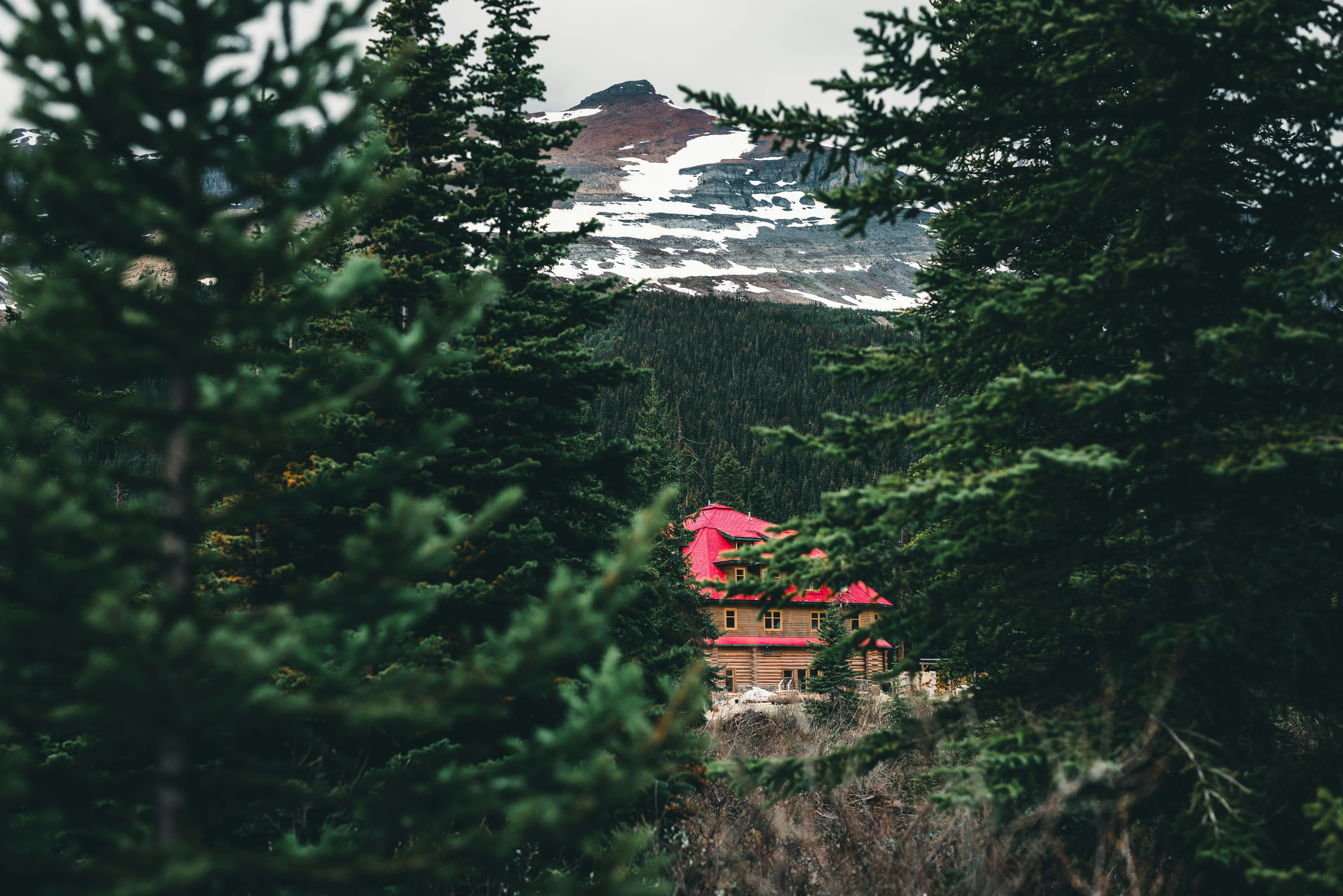 House behind Trees in Forest under Mountain · Free Stock Photo