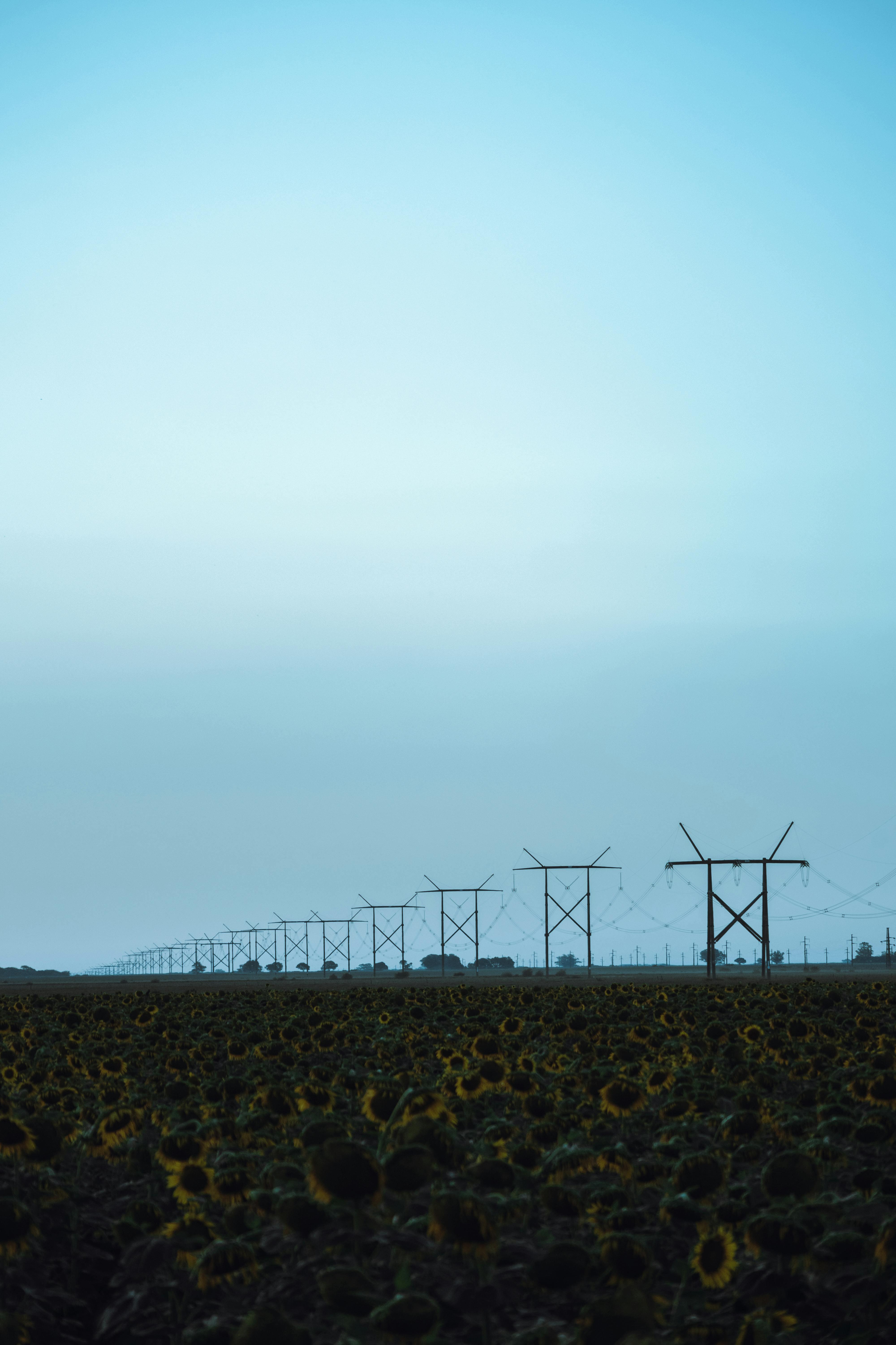 Plain Form Photos, Download The BEST Free Plain Form Stock Photos & HD ...