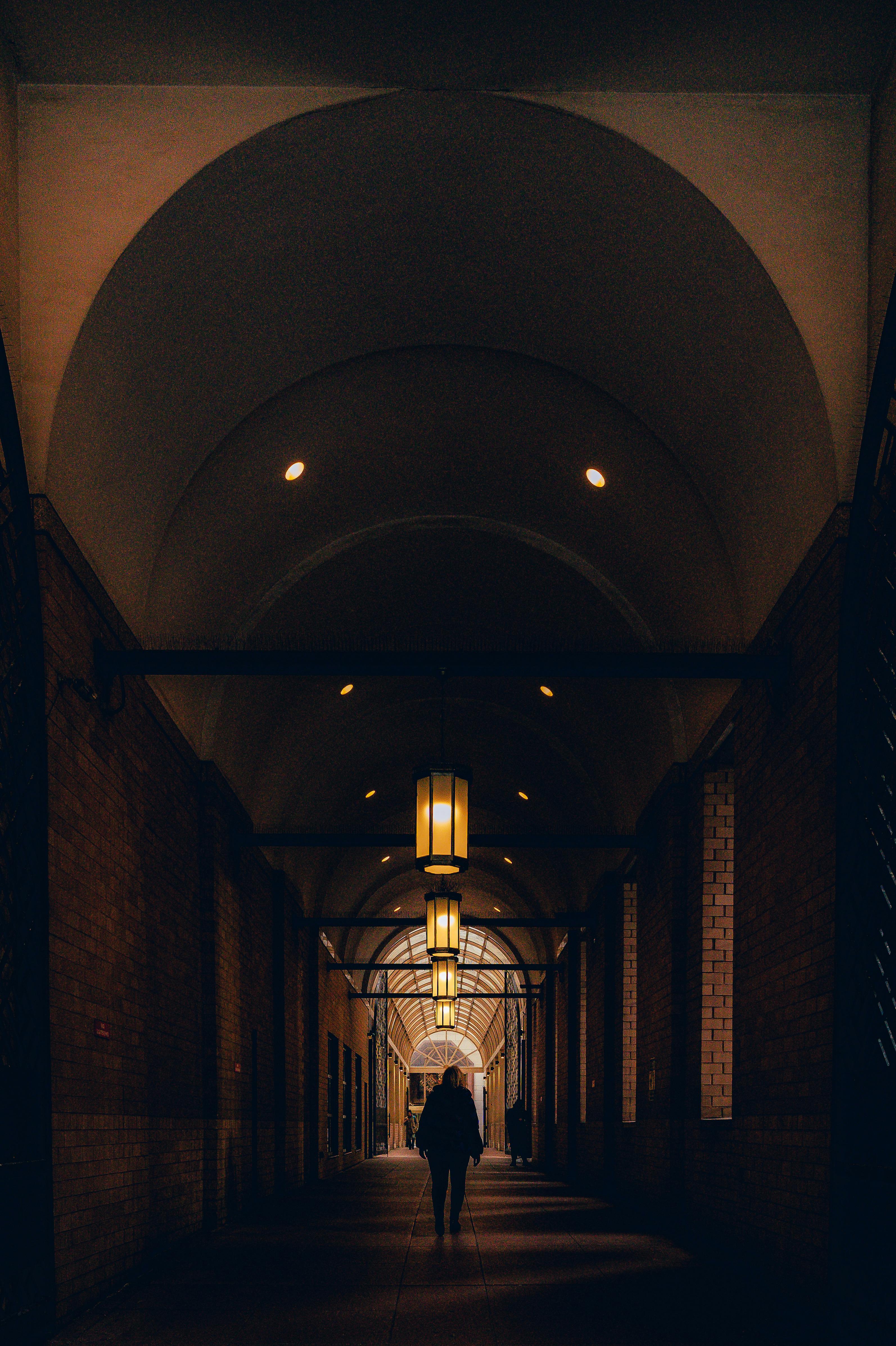 Person Facing Backwards · Free Stock Photo