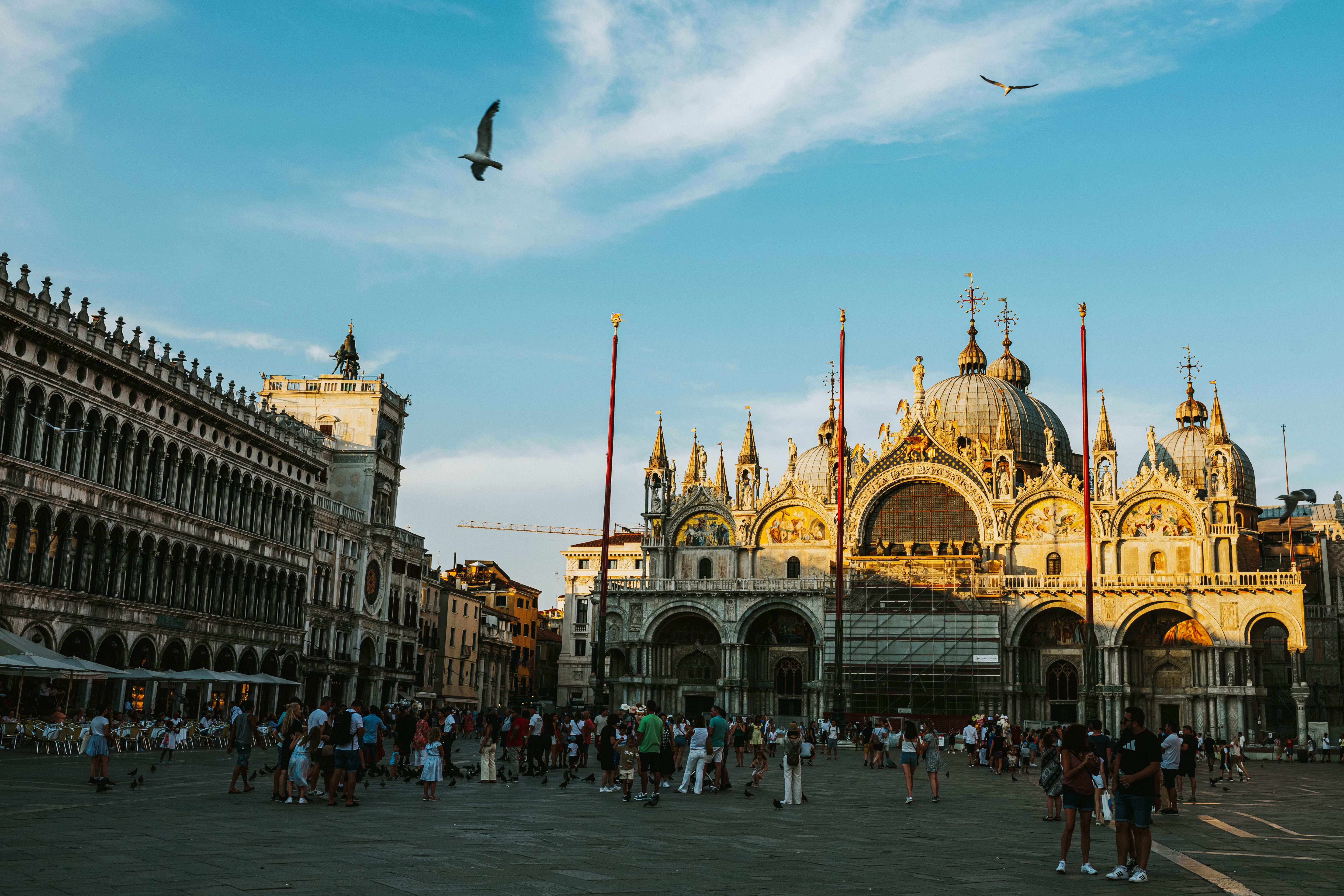 Venice Animation Photos, Download The BEST Free Venice Animation Stock ...