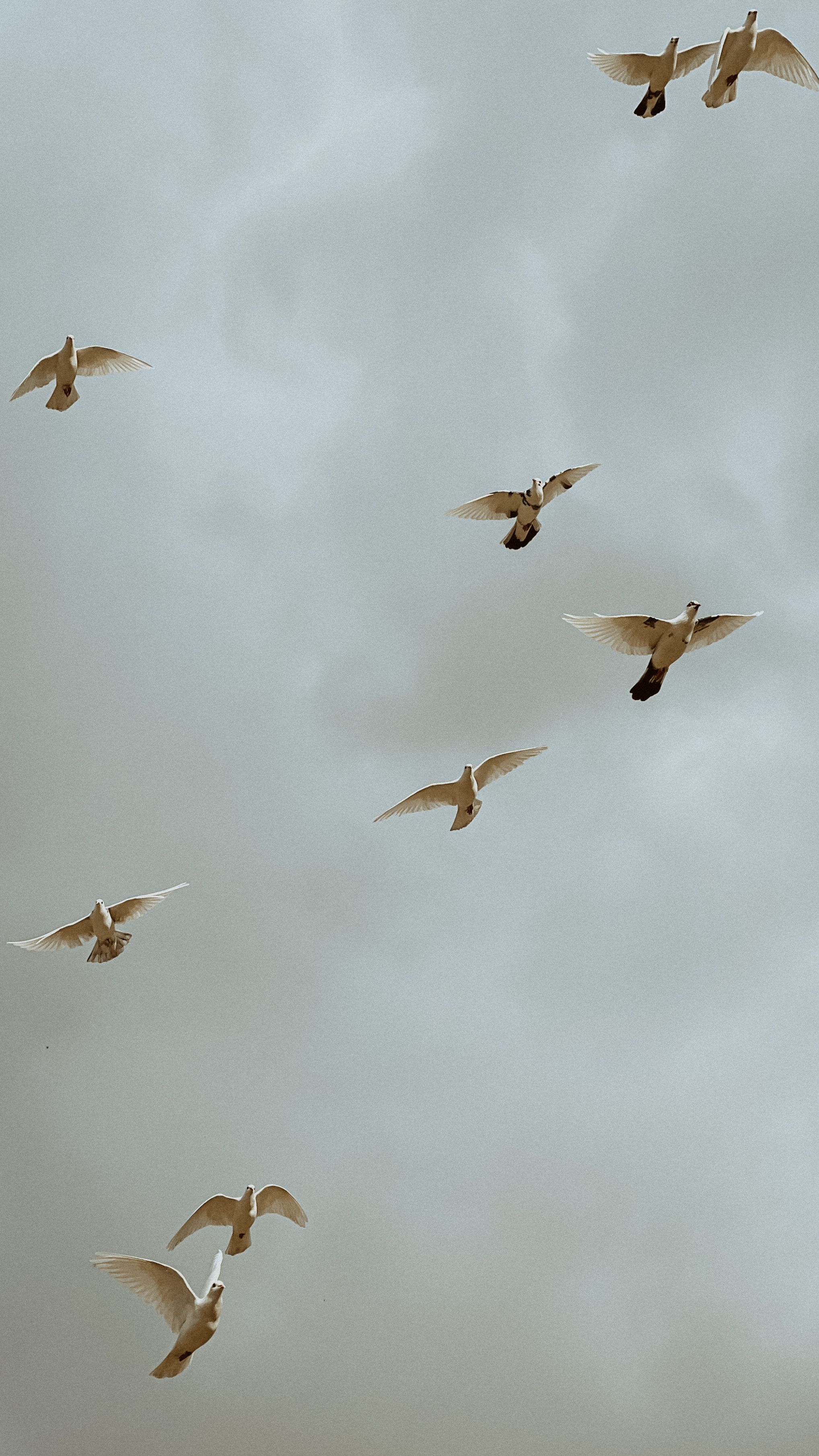 Overcast Sky Photos, Download The BEST Free Overcast Sky Stock Photos ...