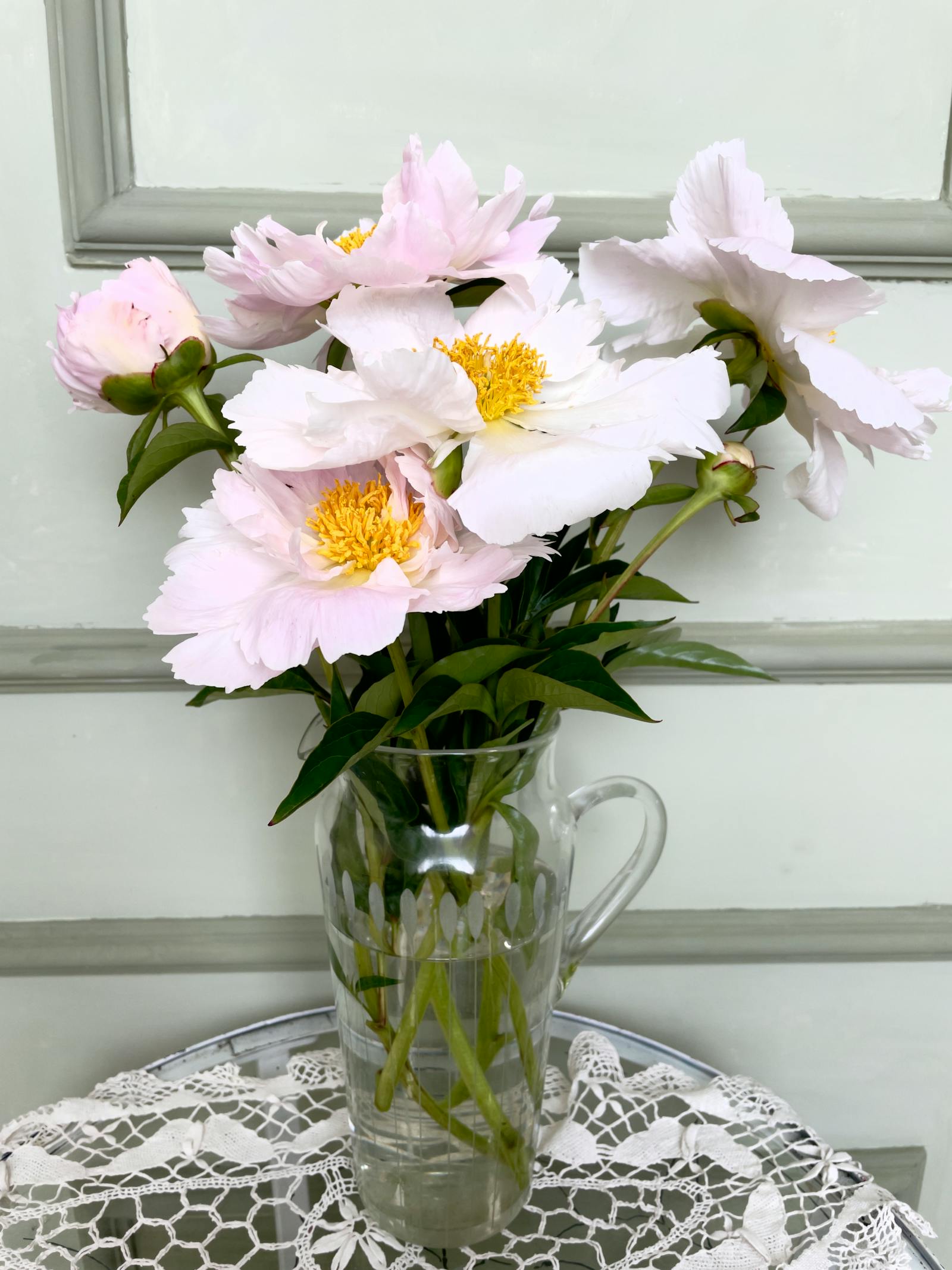 White Peony Flowers Photos, Download The BEST Free White Peony Flowers ...