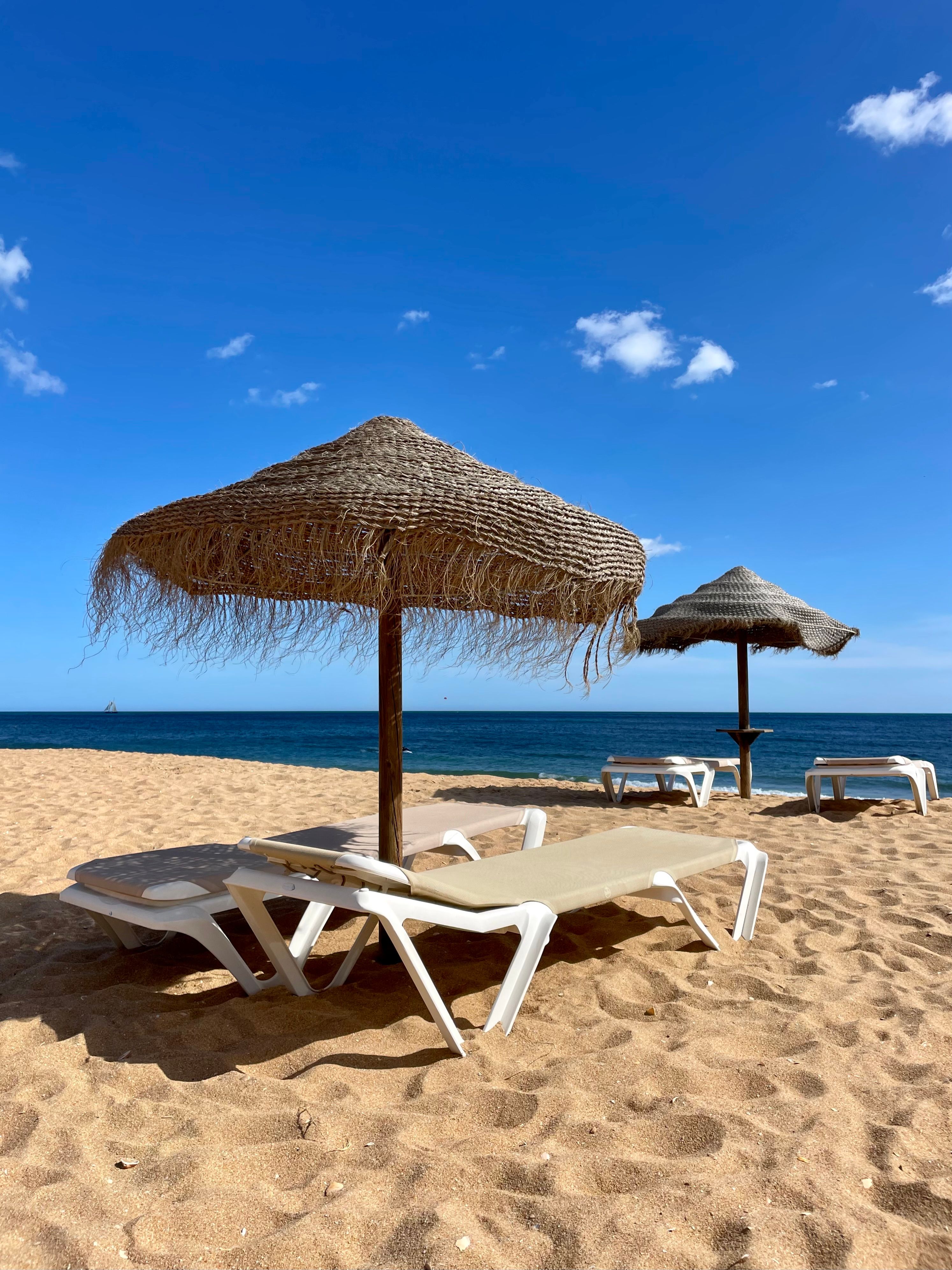 People Sunbathing on the Beach · Free Stock Photo