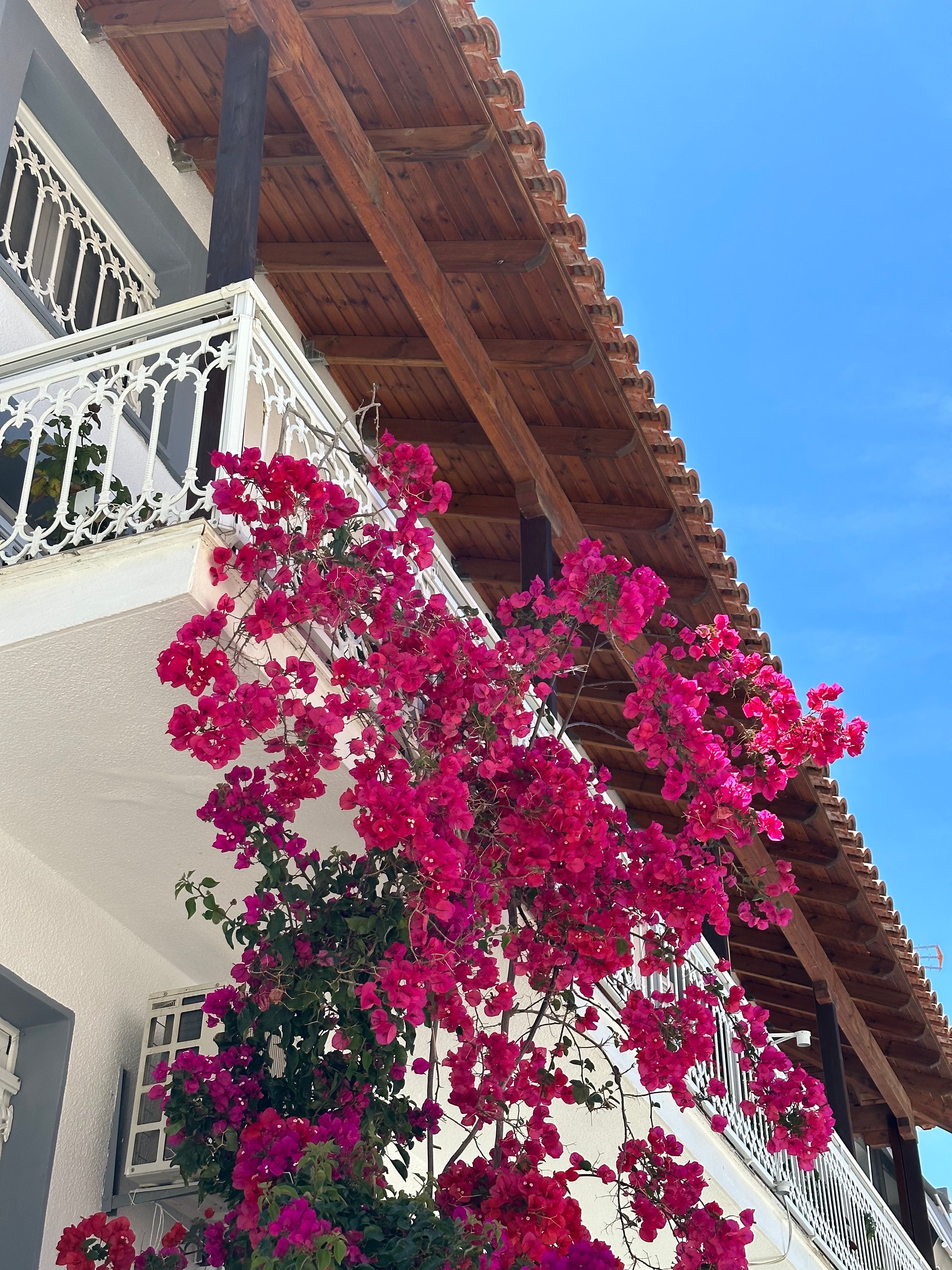 House With Spring Flowers Photos, Download The BEST Free House With ...