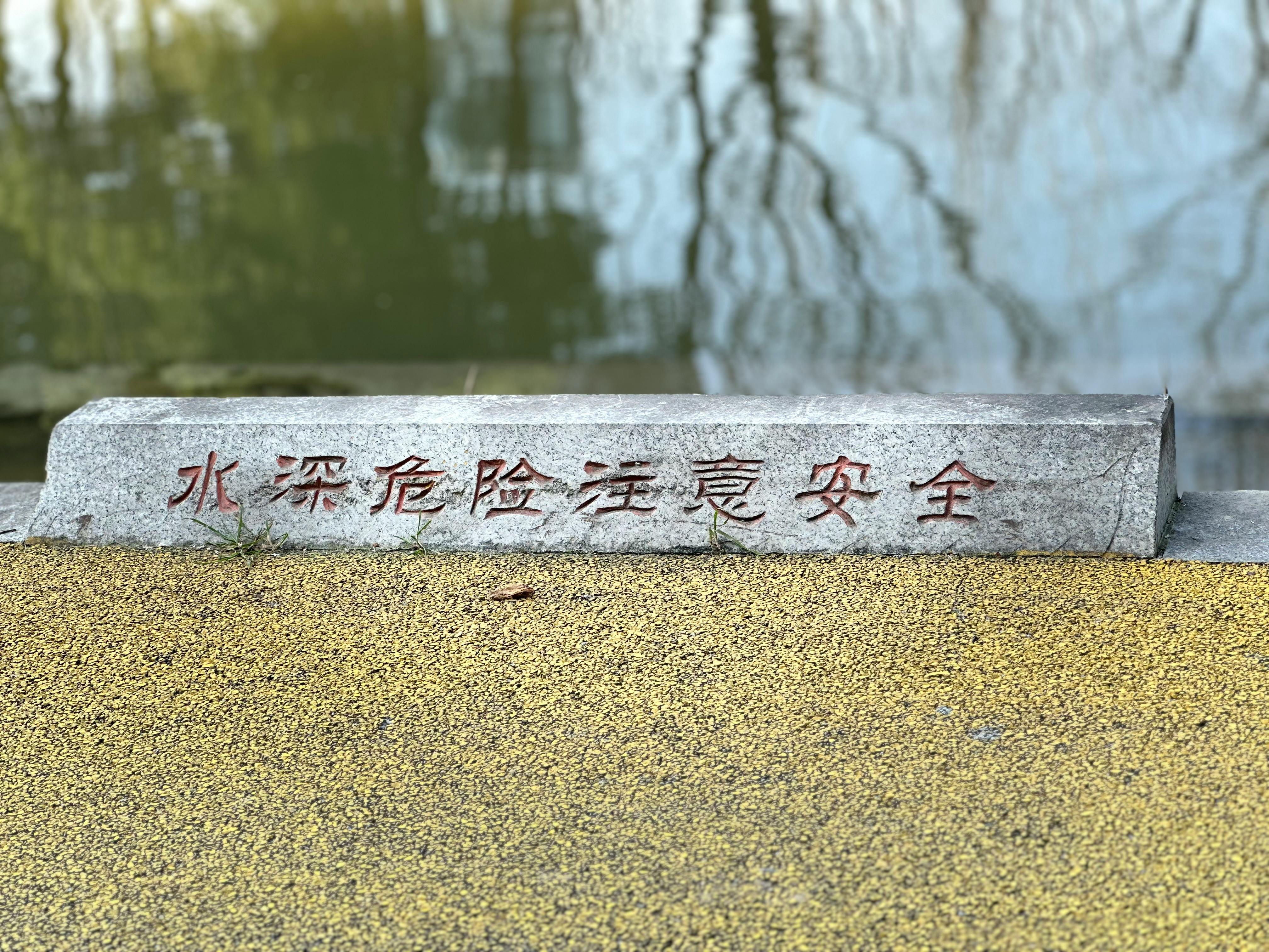 David Lu - Photography