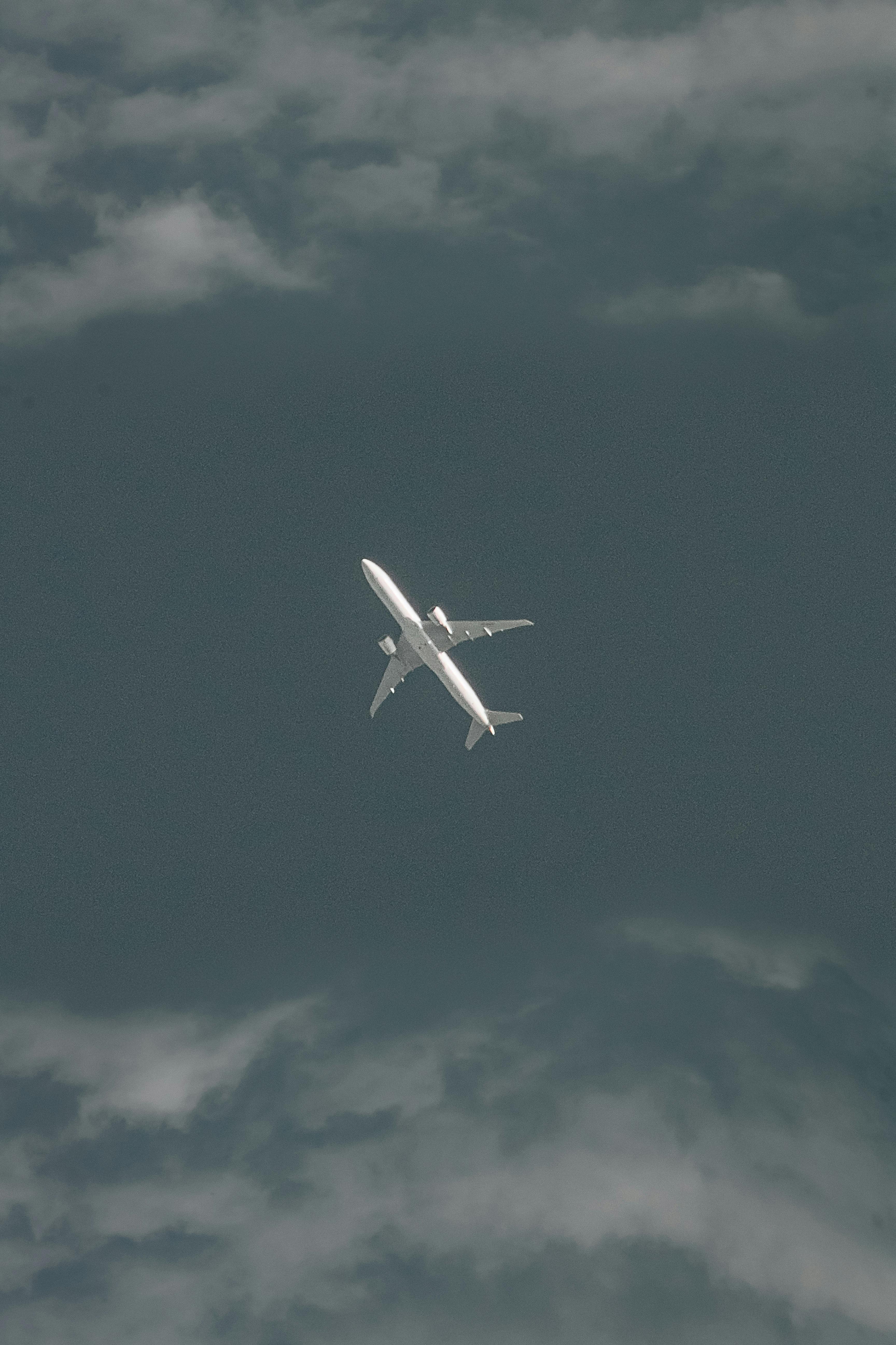 Airplane Crow Photos, Download The BEST Free Airplane Crow Stock Photos ...