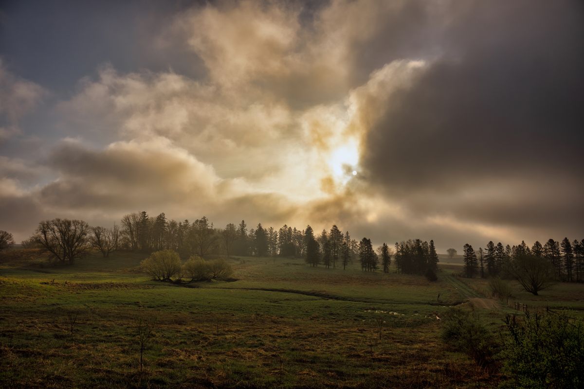 Plain Forest Photos, Download The BEST Free Plain Forest Stock Photos ...