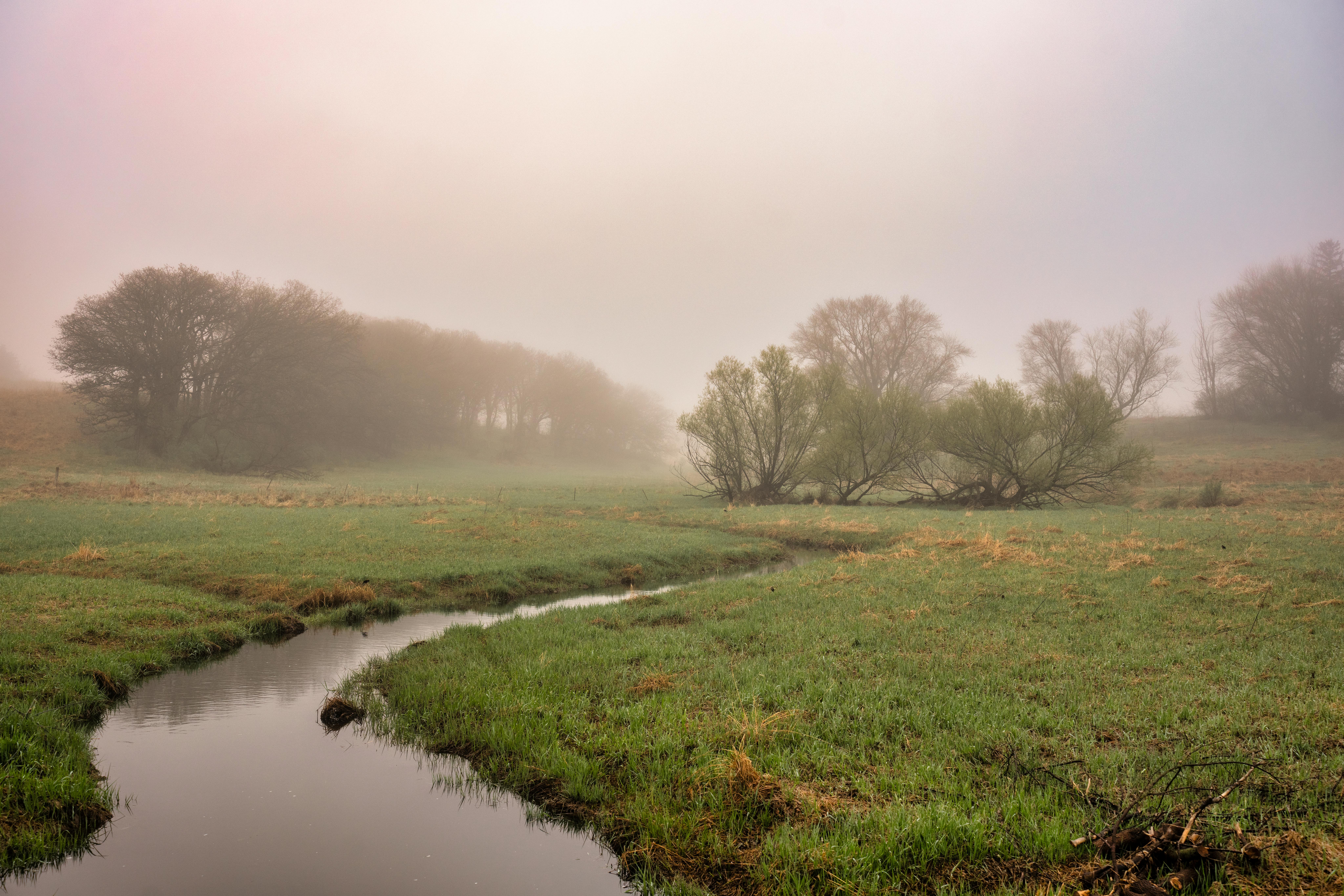 Stream Flowing in Foggy Landscape · Free Stock Photo