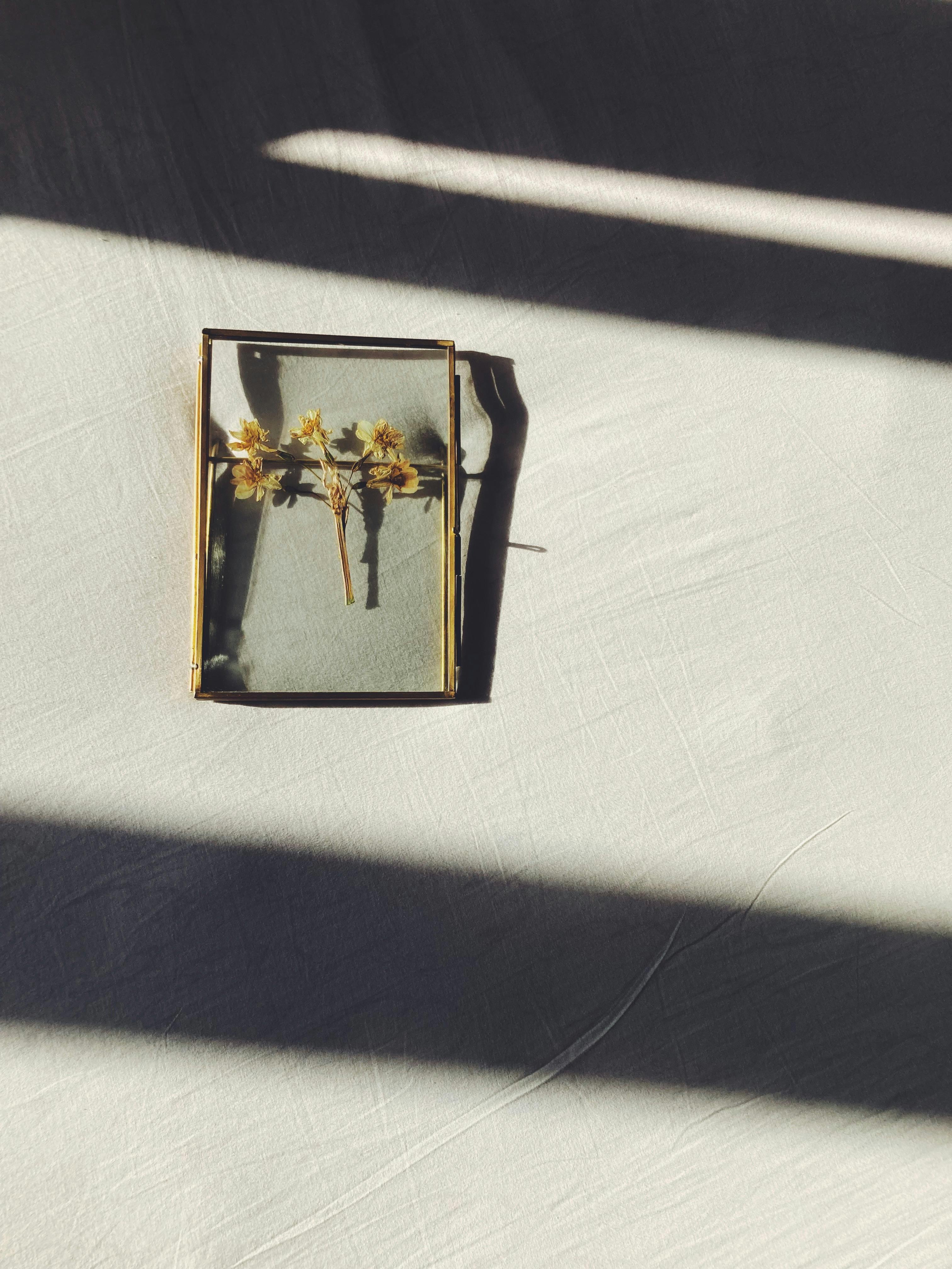 Flowers Reflection in Mirror · Free Stock Photo