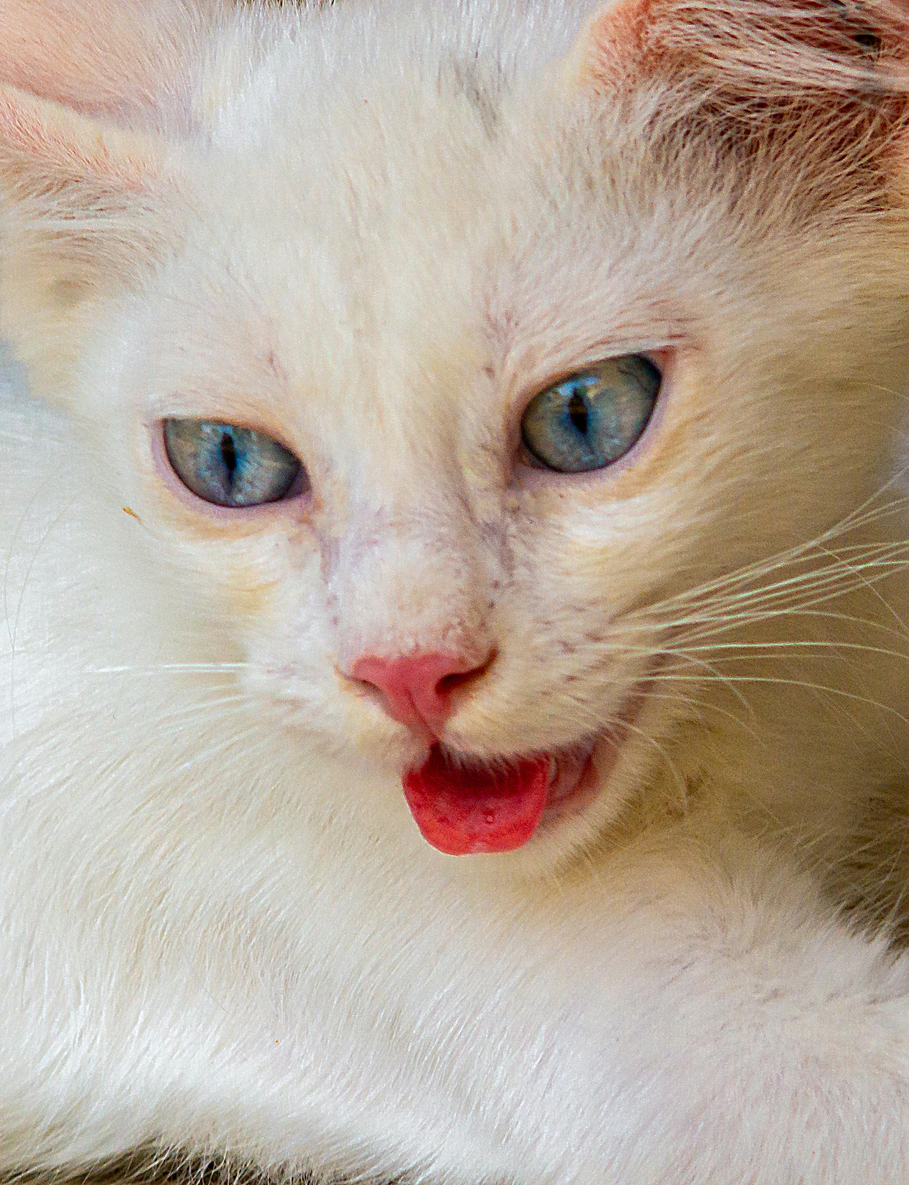 Roderick Salatan - 摄影