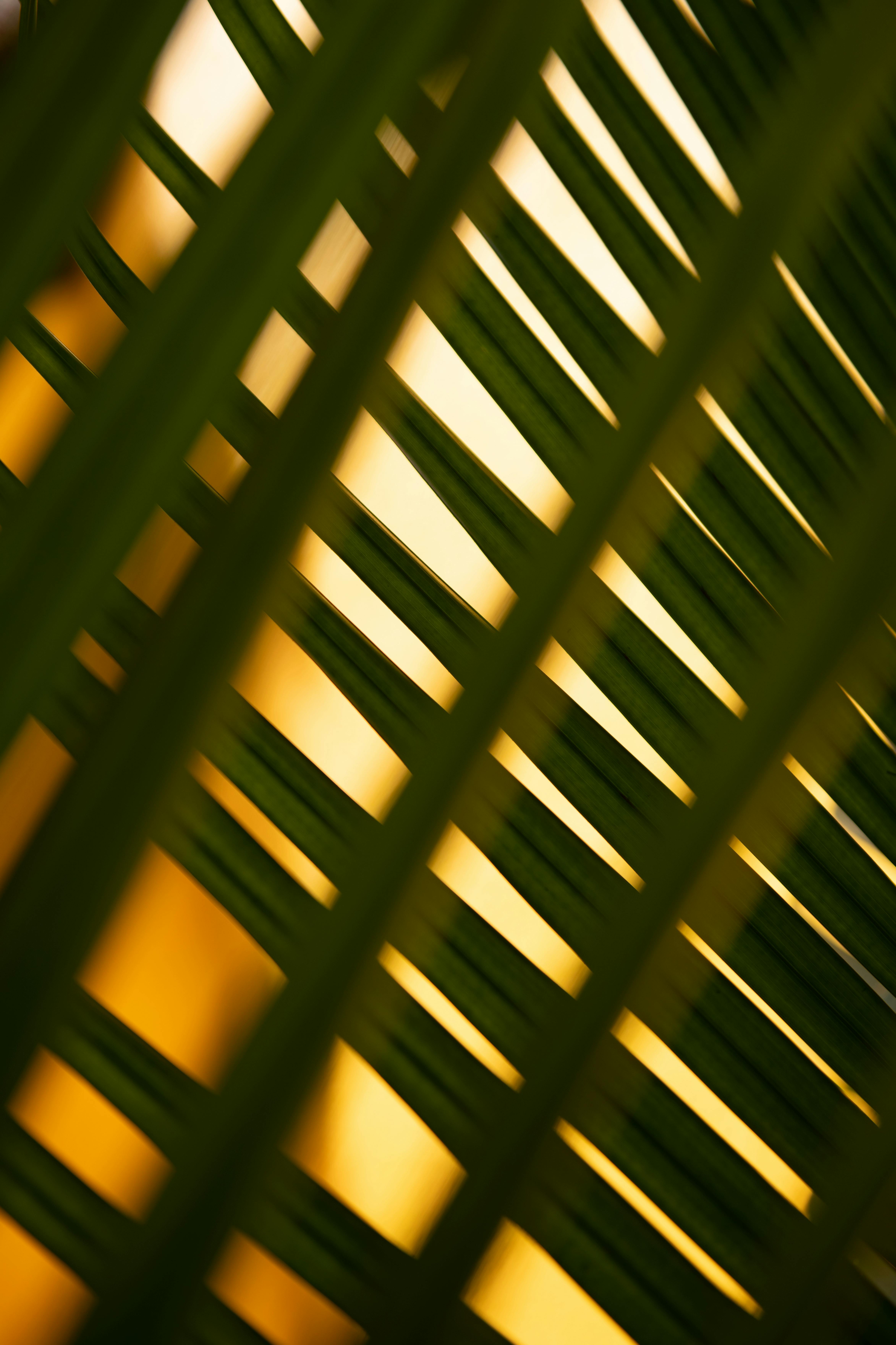 Overlapping Responsibilities Photos, Download The BEST Free Overlapping ...