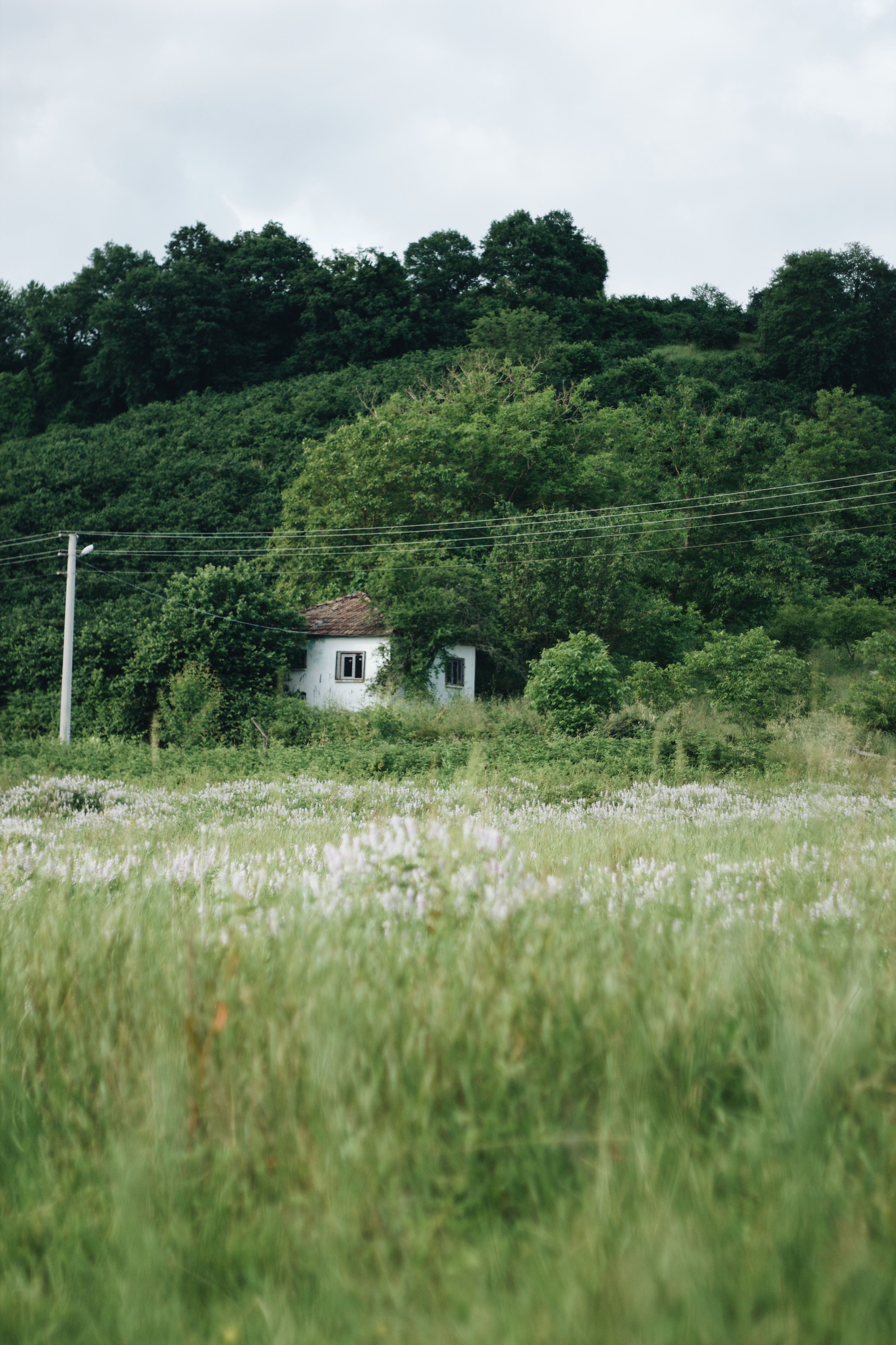 Goethe Hut Photos, Download The BEST Free Goethe Hut Stock Photos & HD ...