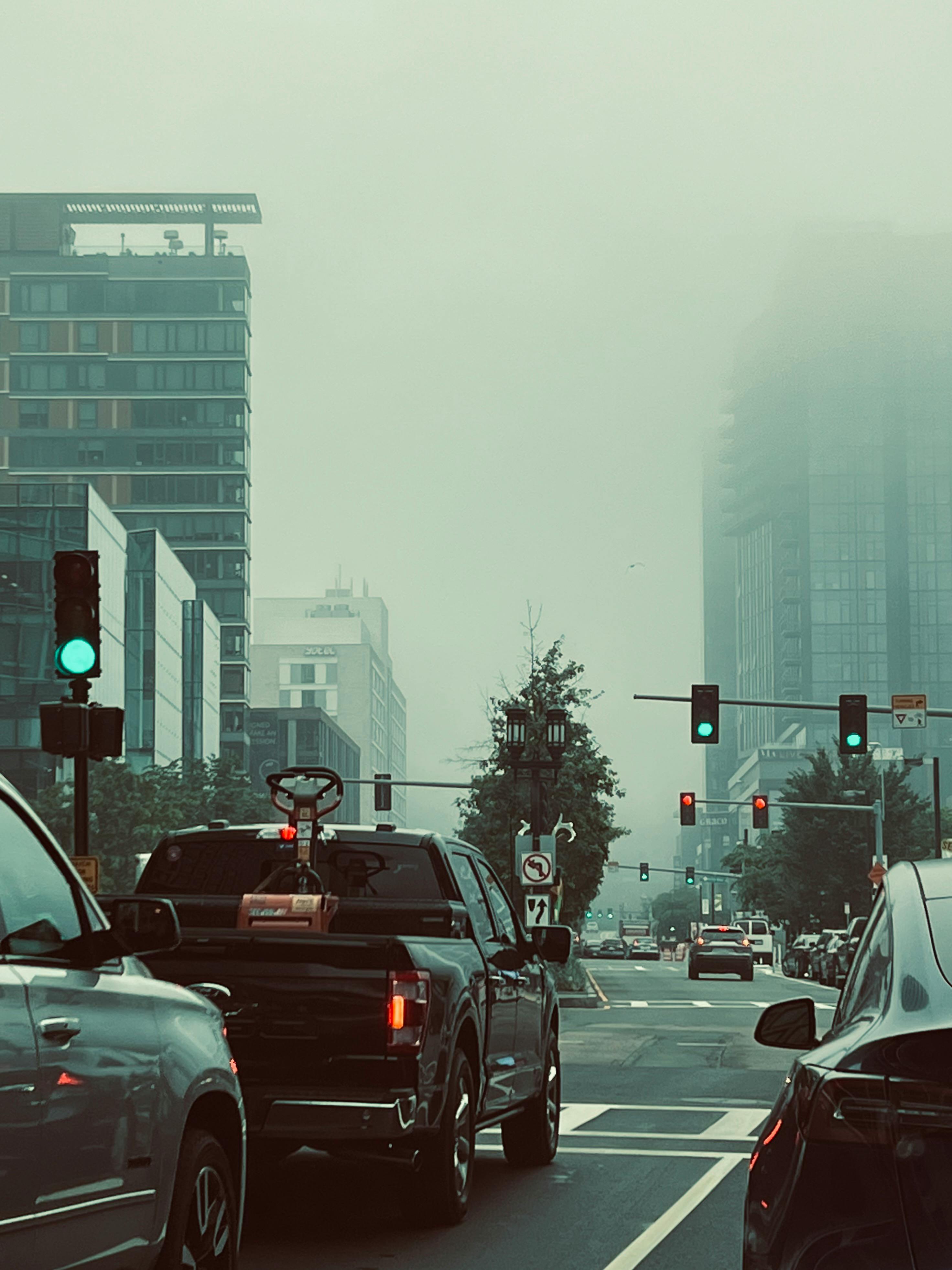 City Street in Fog, and Traffic on a Road · Free Stock Photo