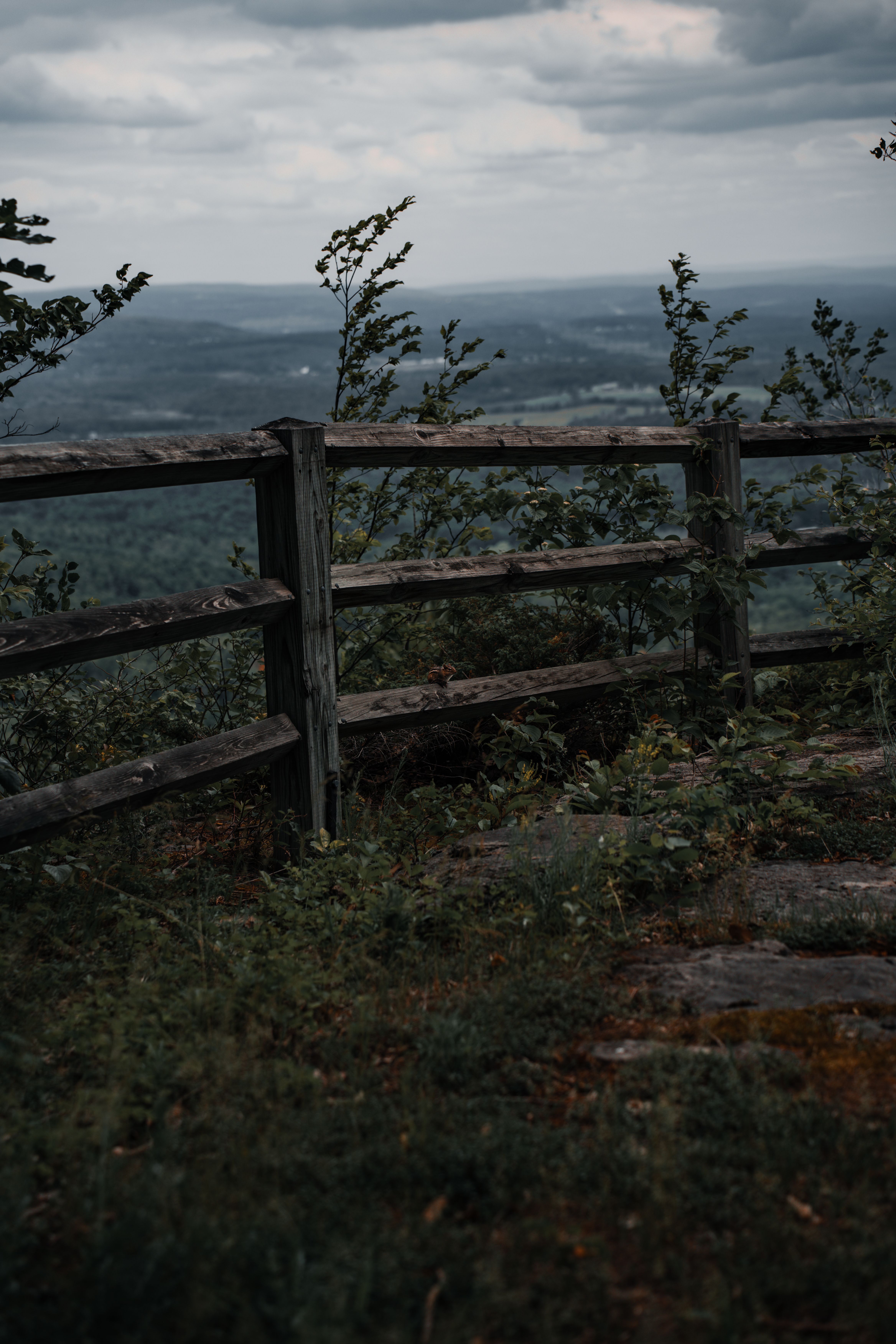 Mountain Landscape Seen From an Observation Point with a Weathered ...