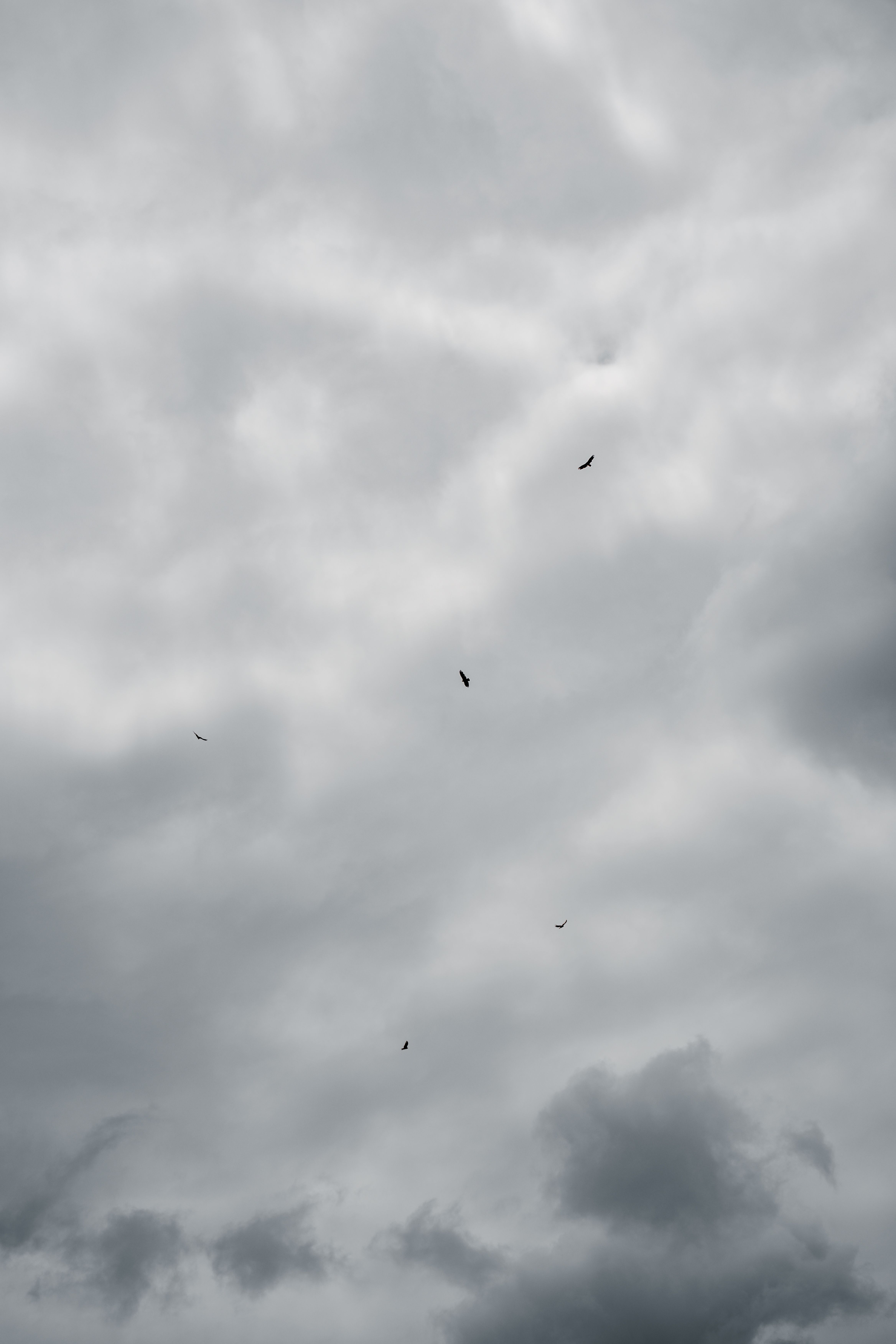 Clouded Grey Sky · Free Stock Photo