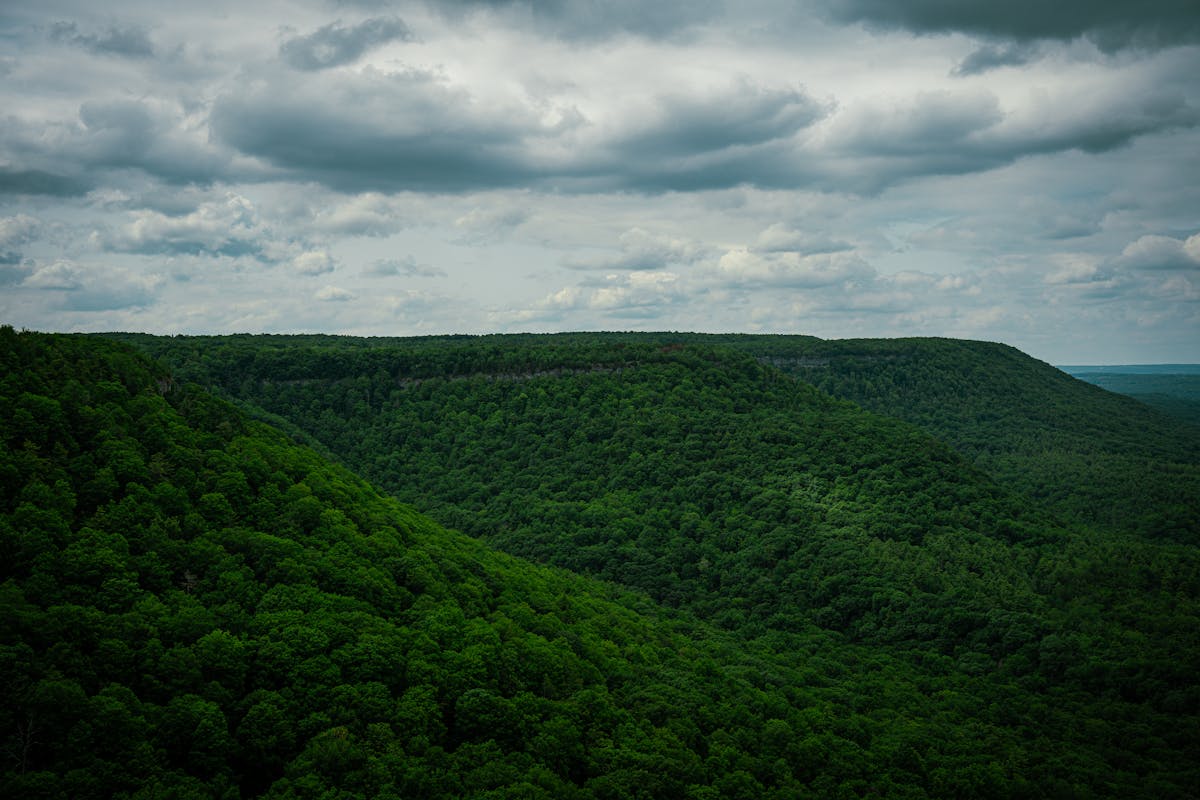 New York State Photos, Download The BEST Free New York State Stock ...