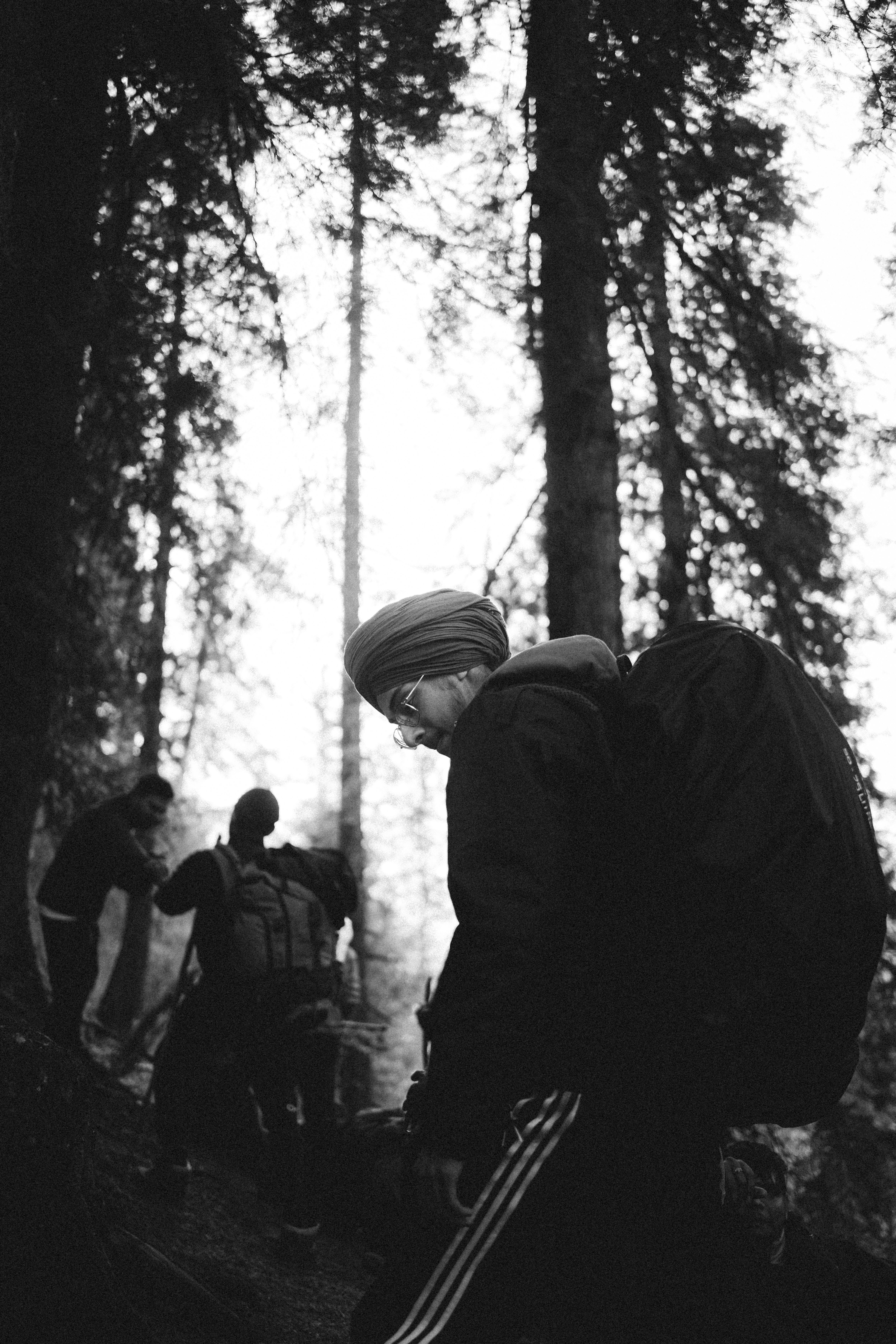 Forest Humans Photos, Download The BEST Free Forest Humans Stock Photos ...