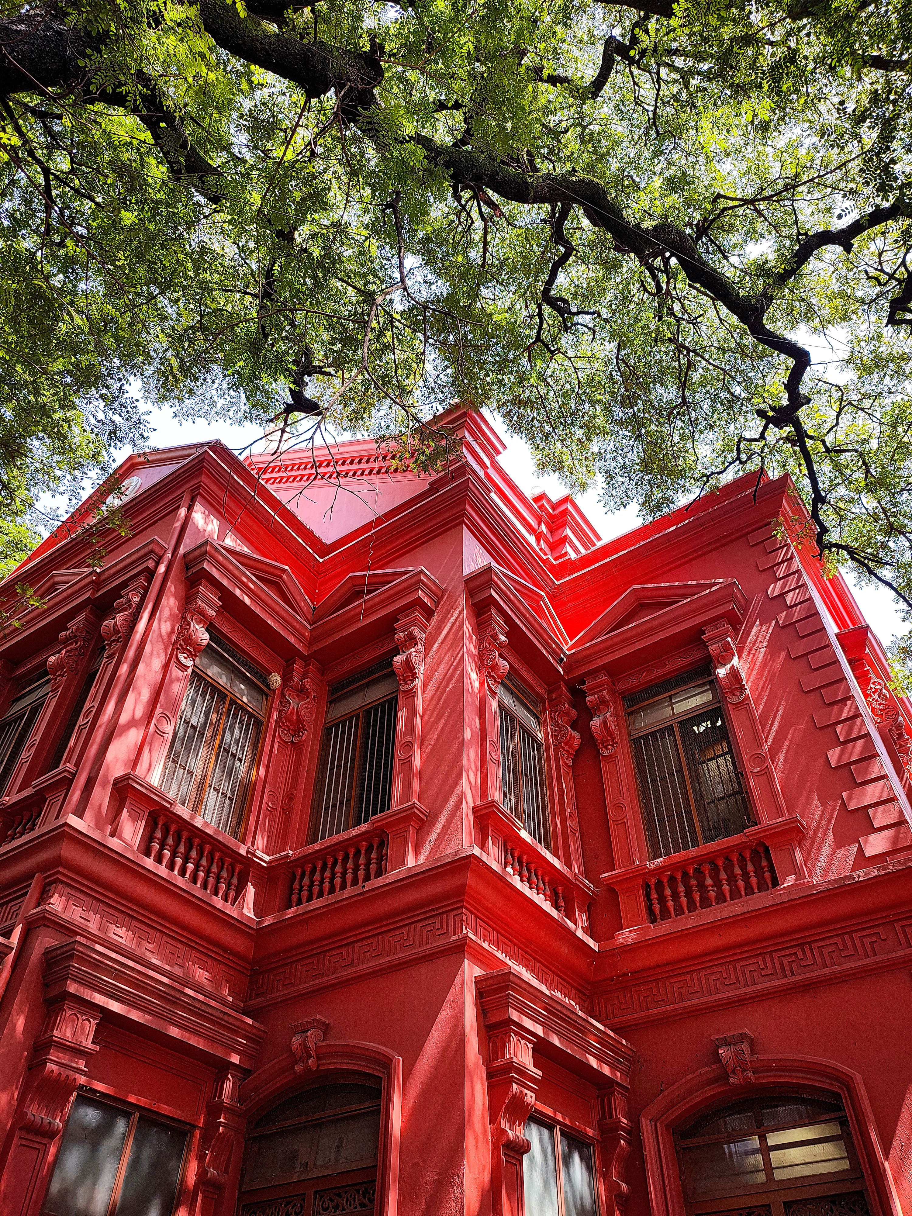 Tree Branch over Red Building Corner · Free Stock Photo