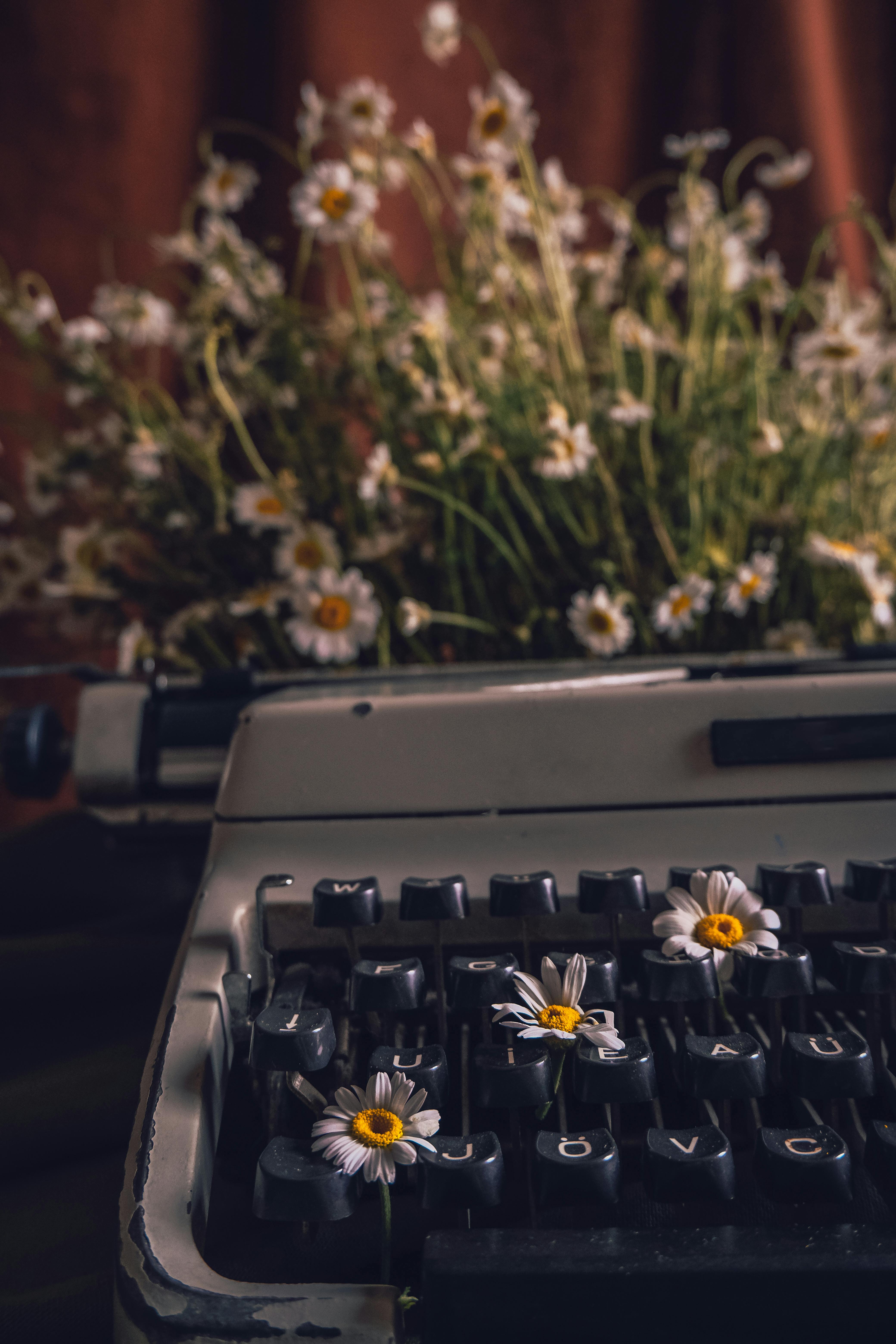 Typewriter And Flowers Photos, Download The BEST Free Typewriter And ...