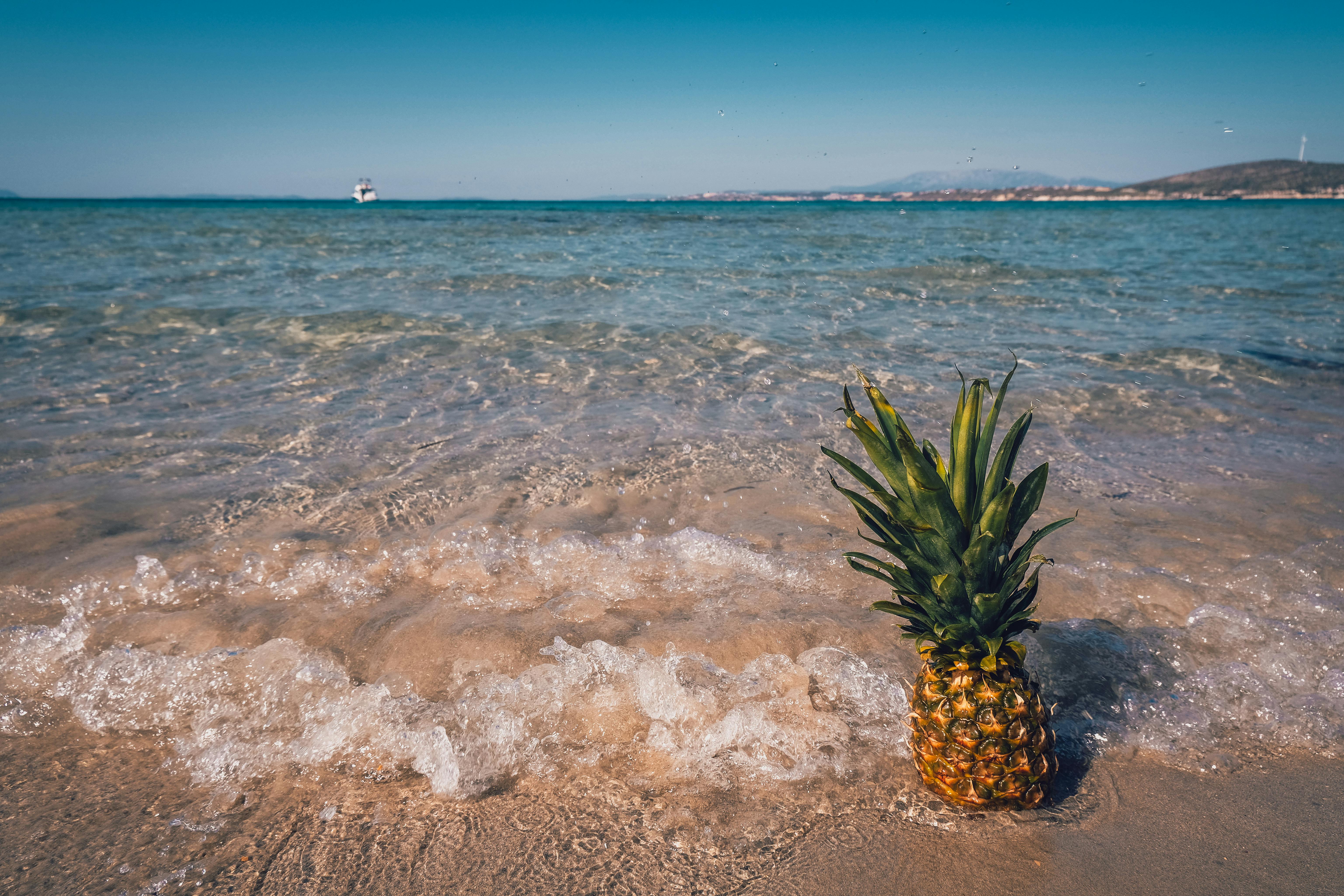 Pineapple on Sand Touched by Water · Free Stock Photo