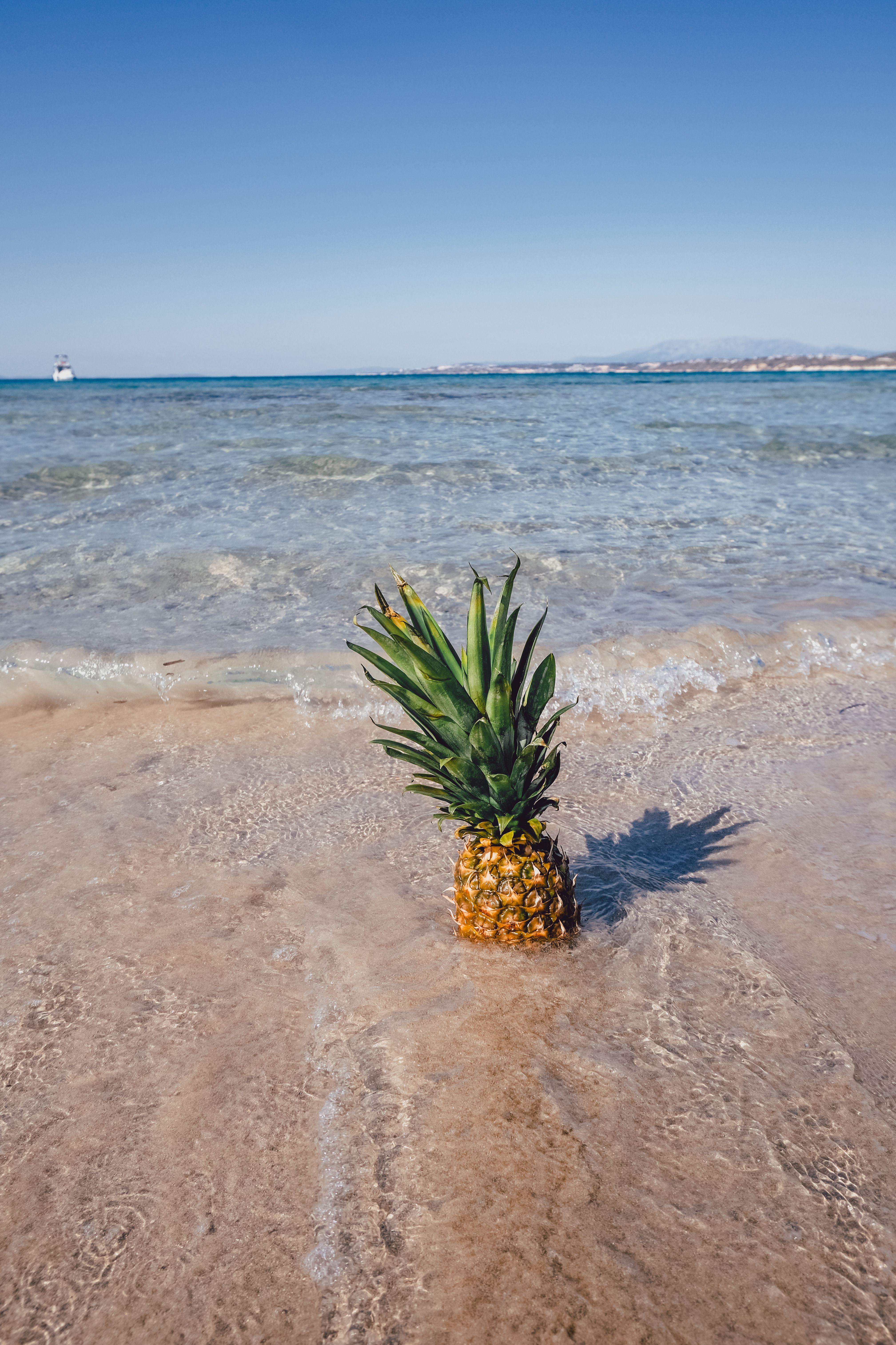 Pineapple in the Middle of the Seashore · Free Stock Photo