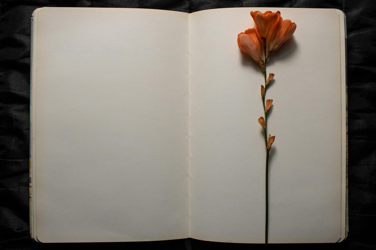 Sad Black Background Photos, Download The BEST Free Sad Black ...