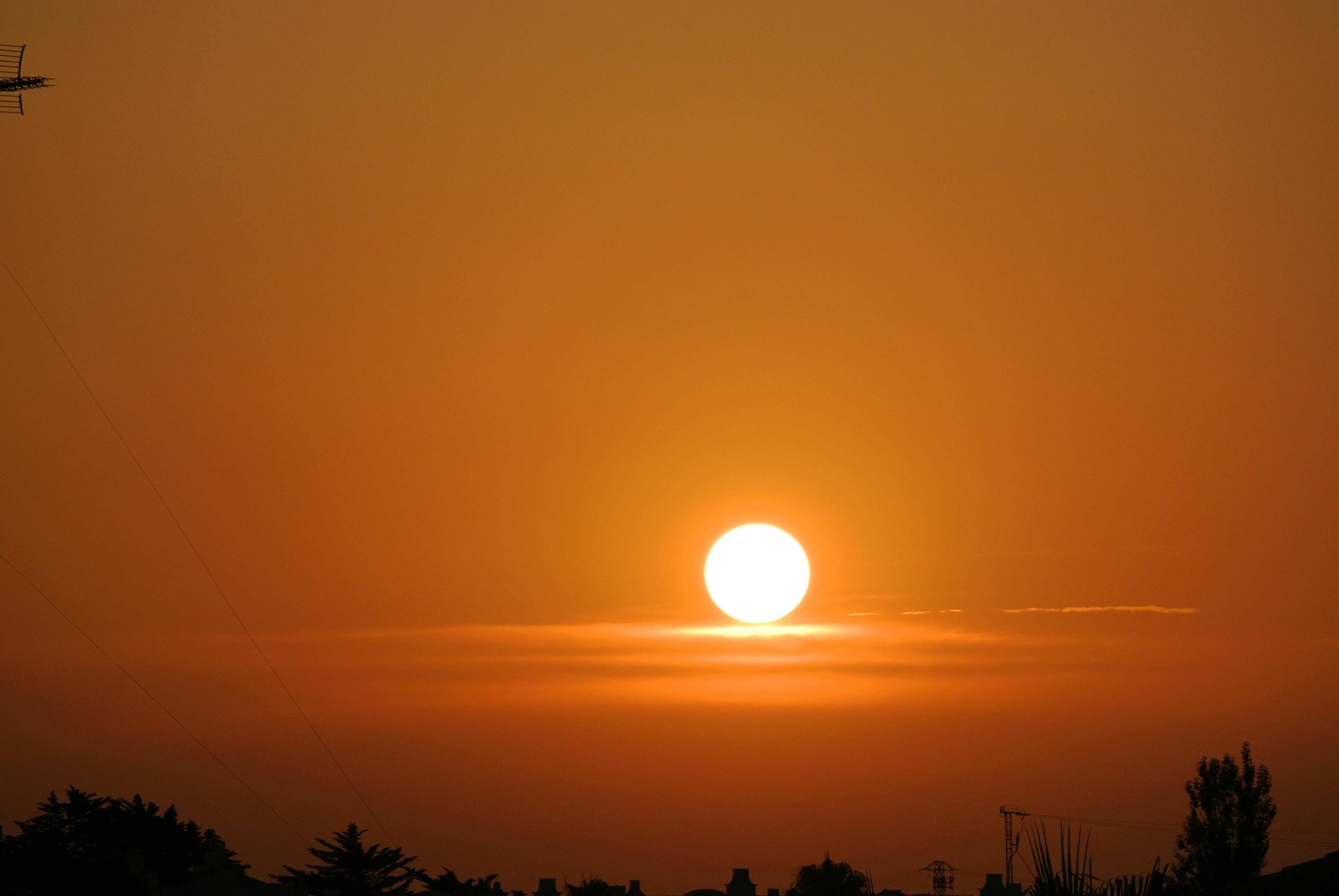 Flynn Robinson - Photographie