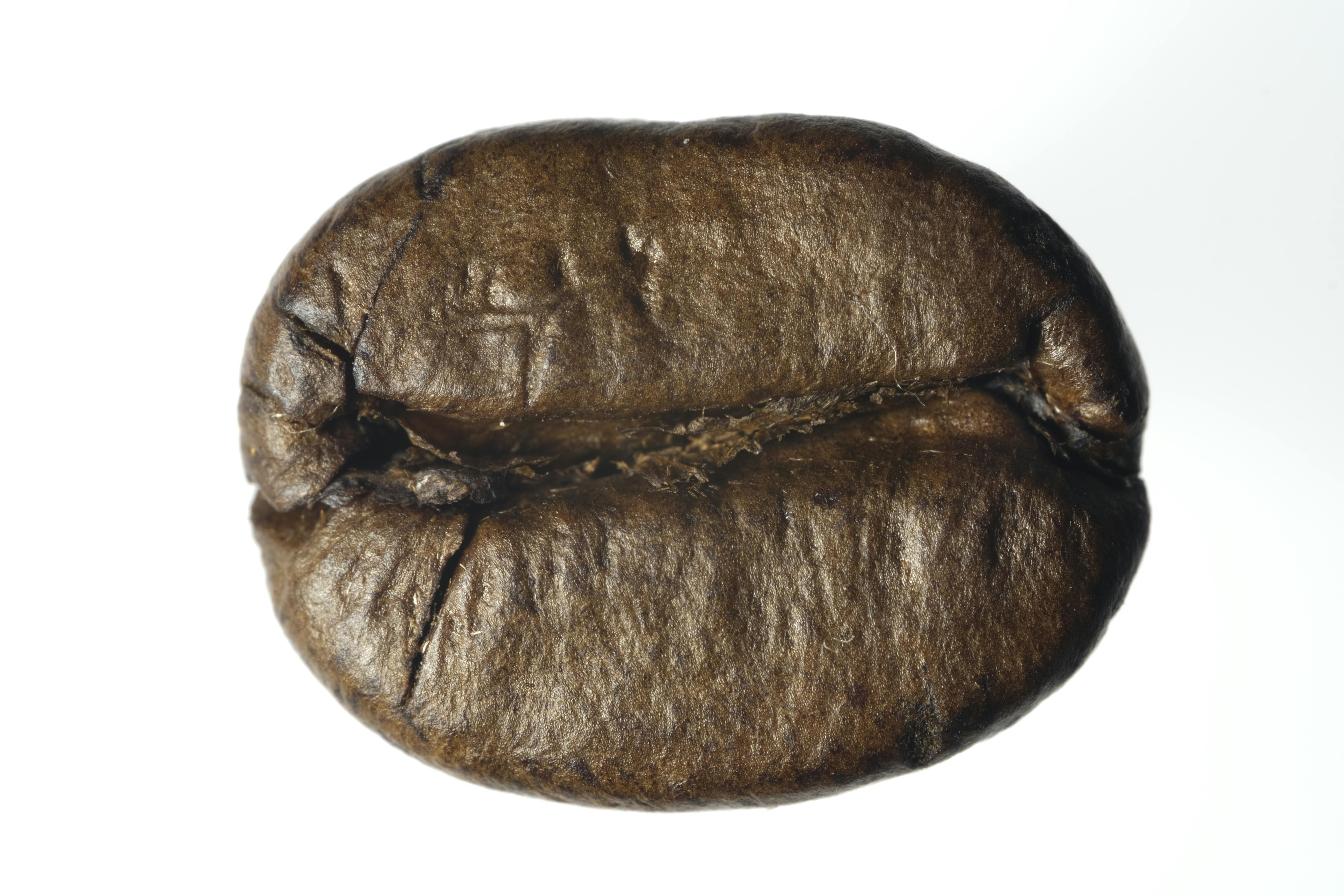 Single Coffee Bean Png