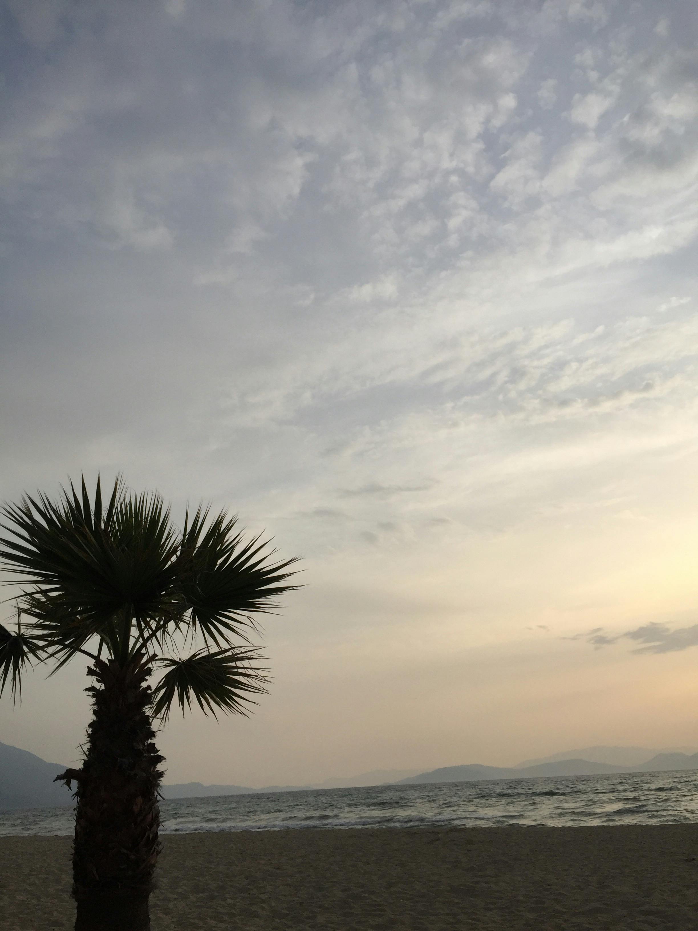 merve yesilyurt - Photography