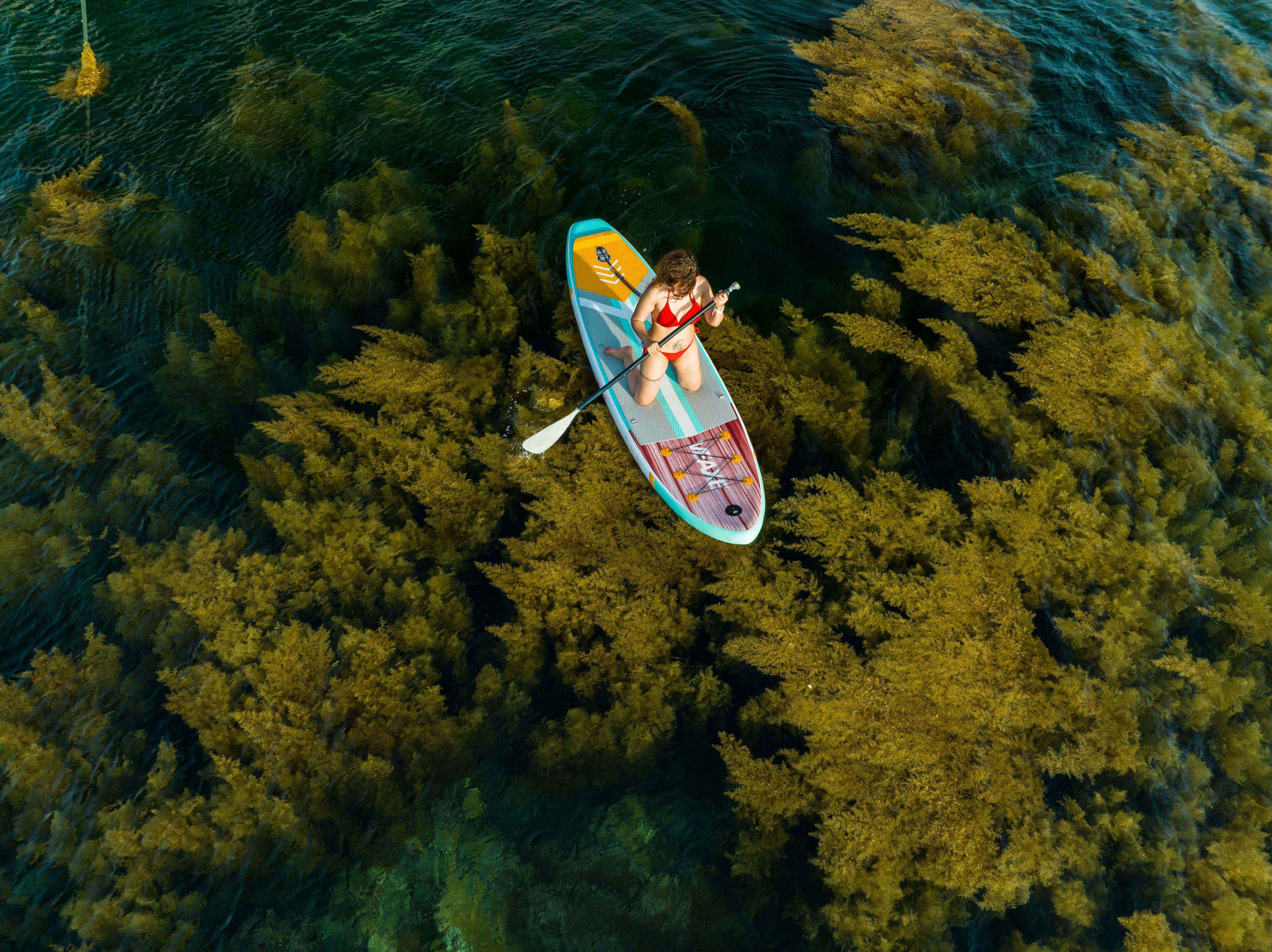 A Woman on a Paddleboard · Free Stock Photo