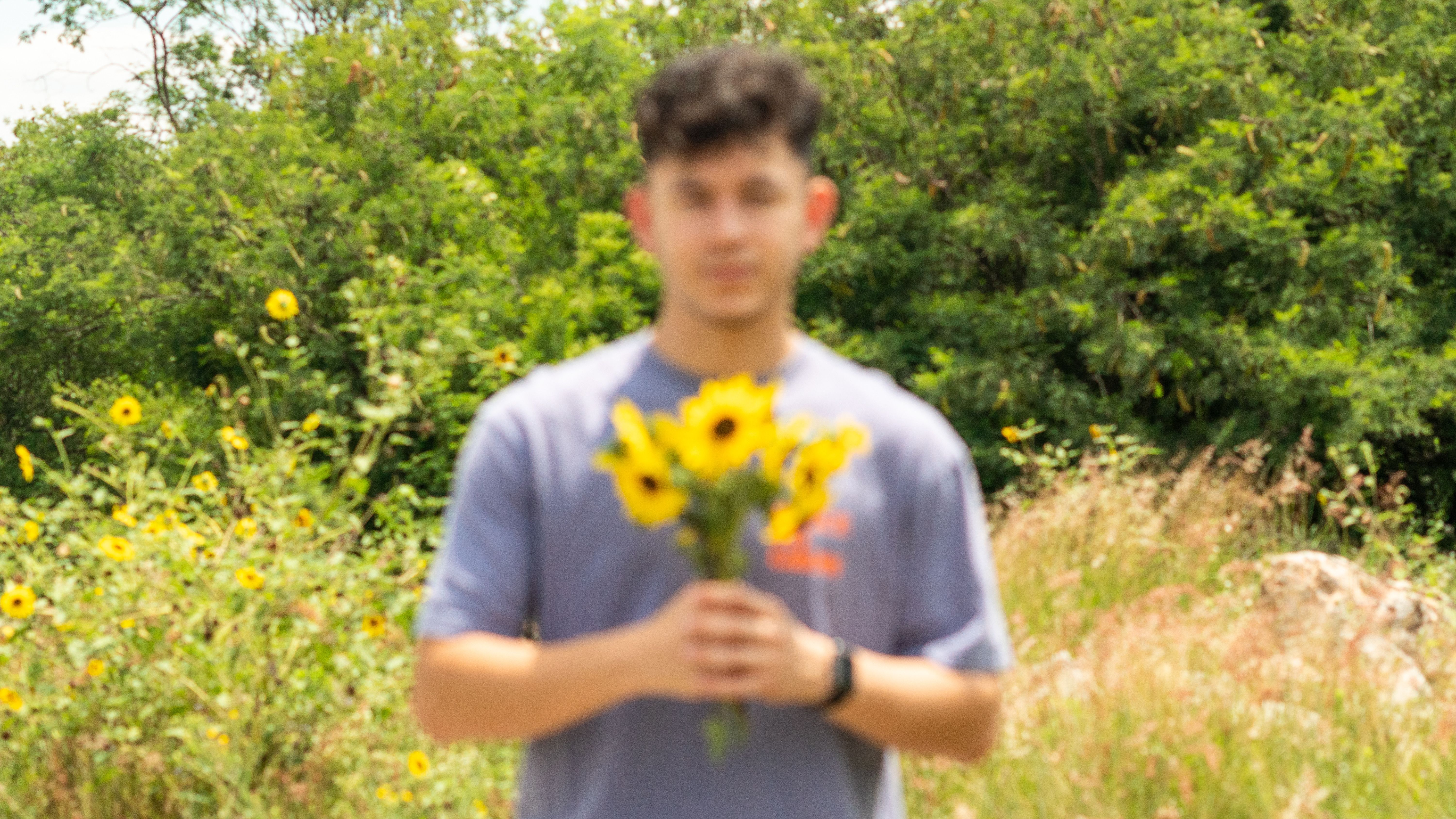 Man Holding Bunch of Sunflowers on Meadow · Free Stock Photo