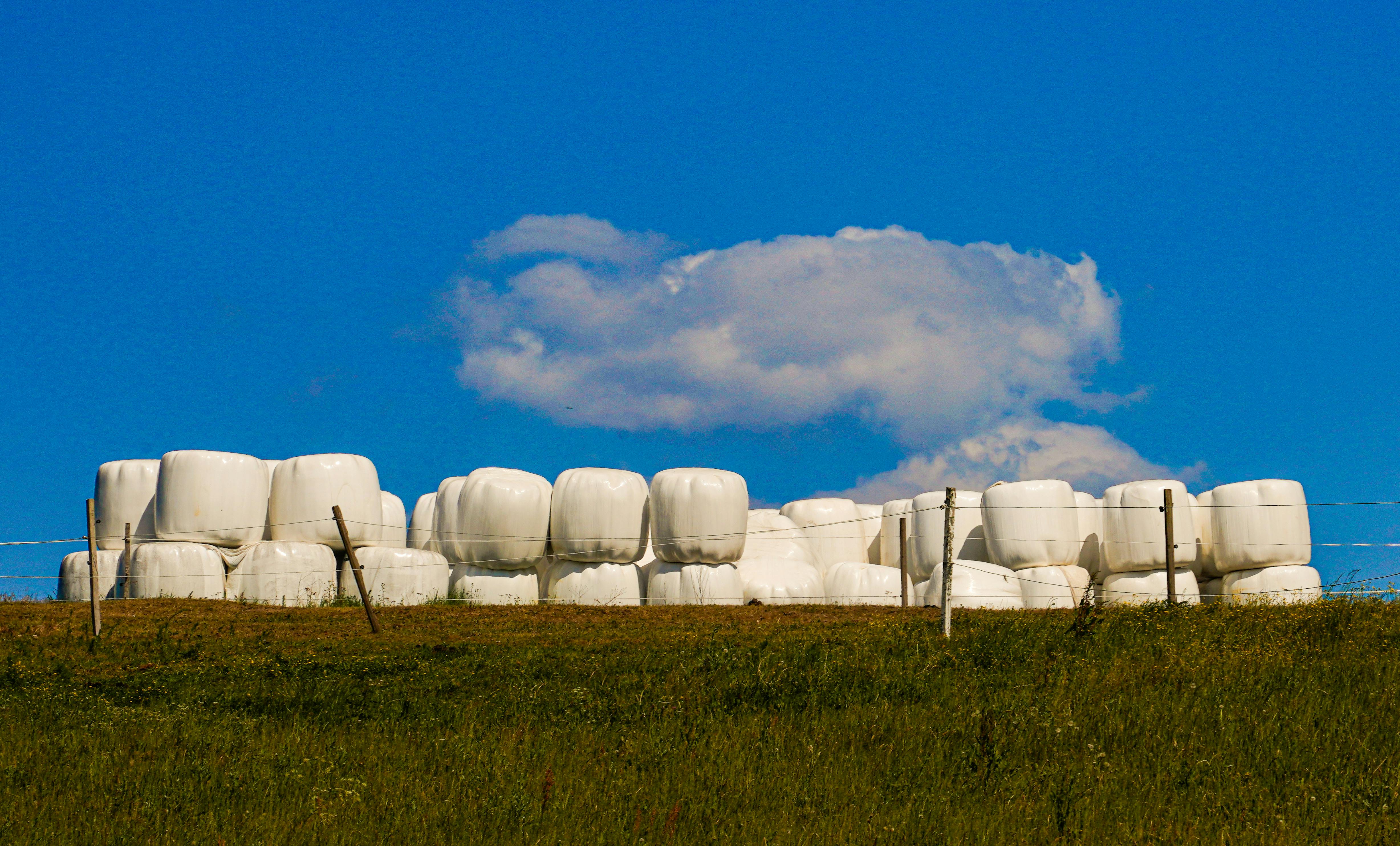 Hay Bales Wrapped in White Plastic · Free Stock Photo
