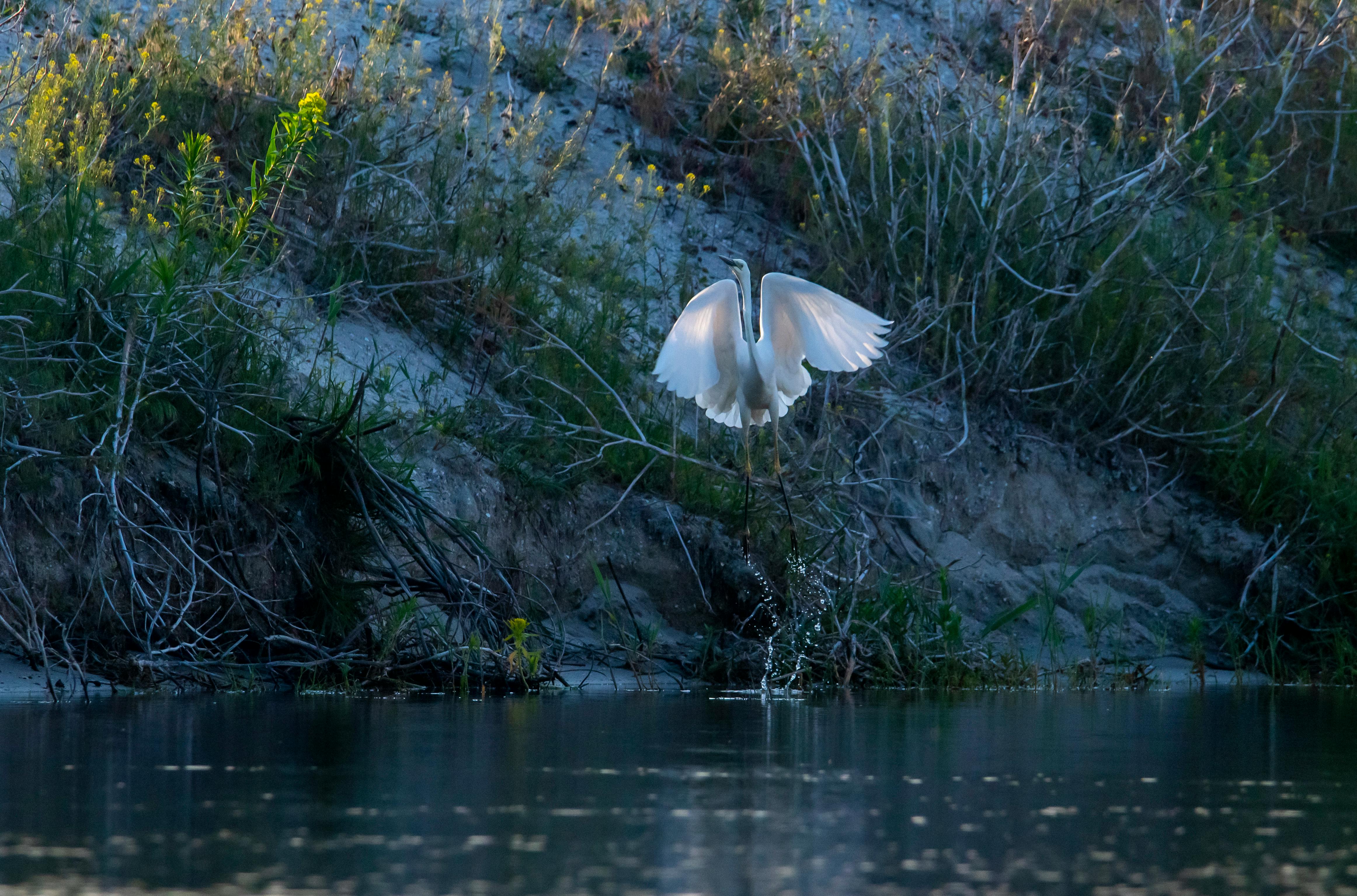 Marian Strinoiu - 攝影