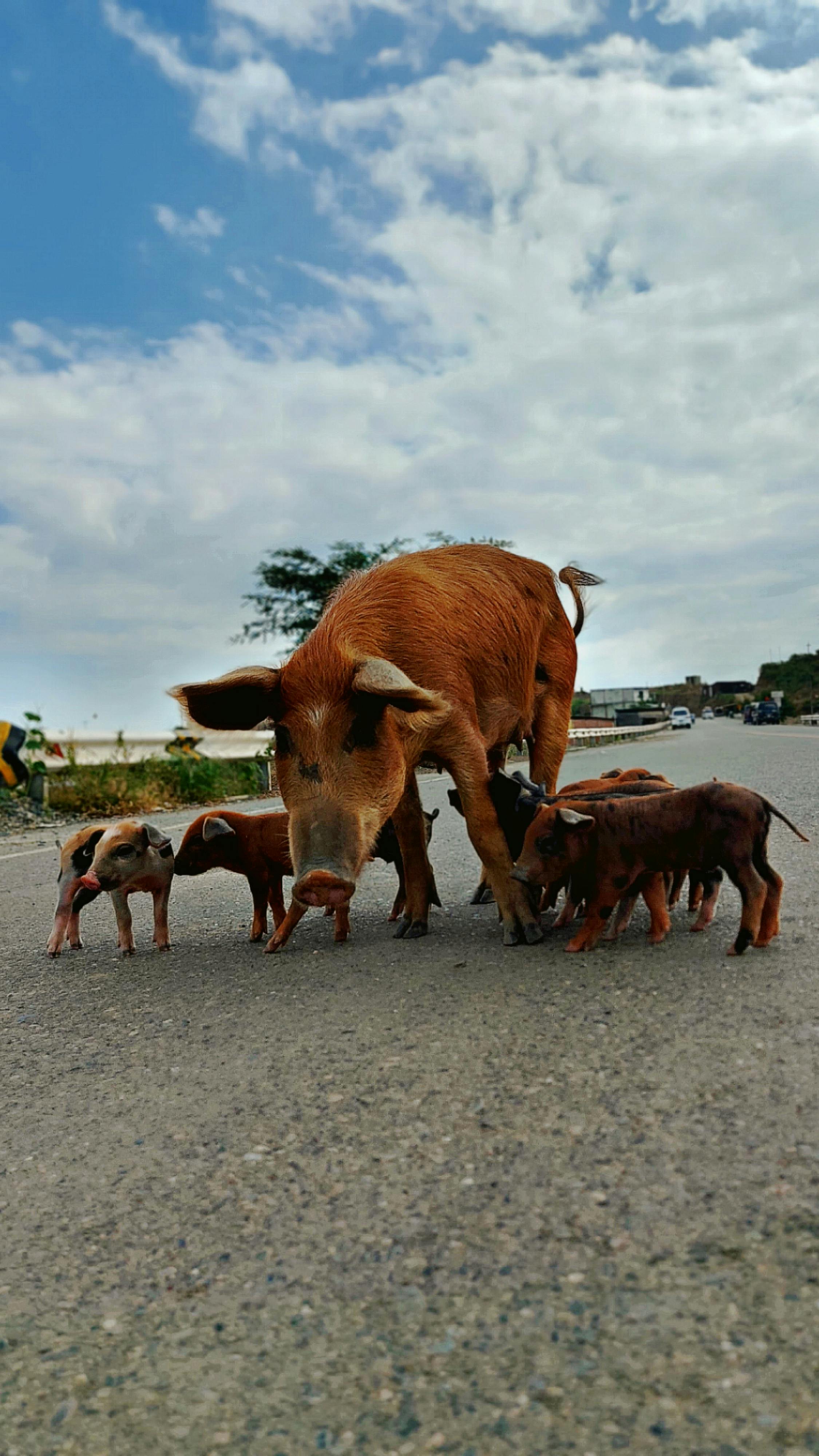 Lidia Sanchez Valenzuela - Fotografie