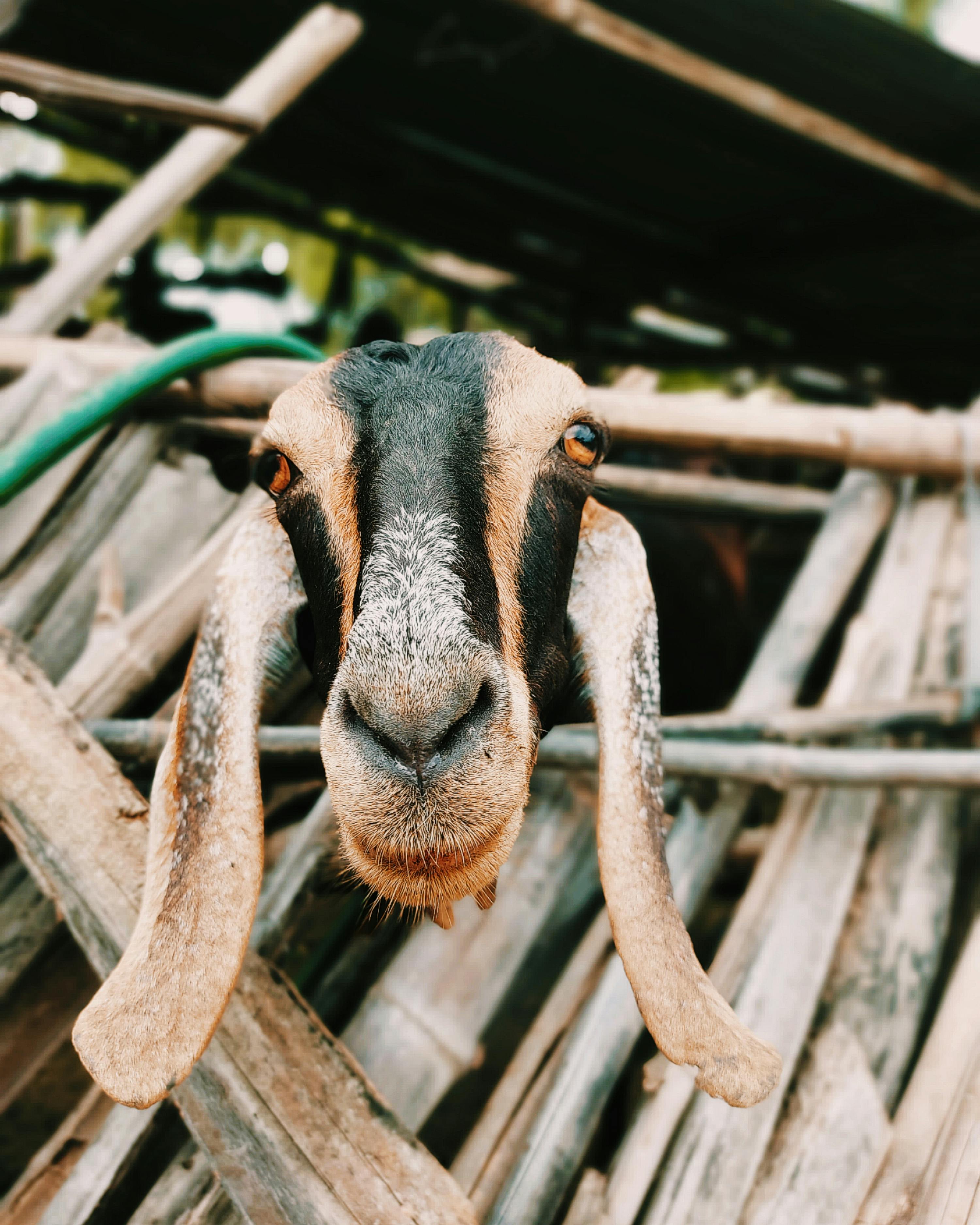 Lidia Sanchez Valenzuela - Fotografie