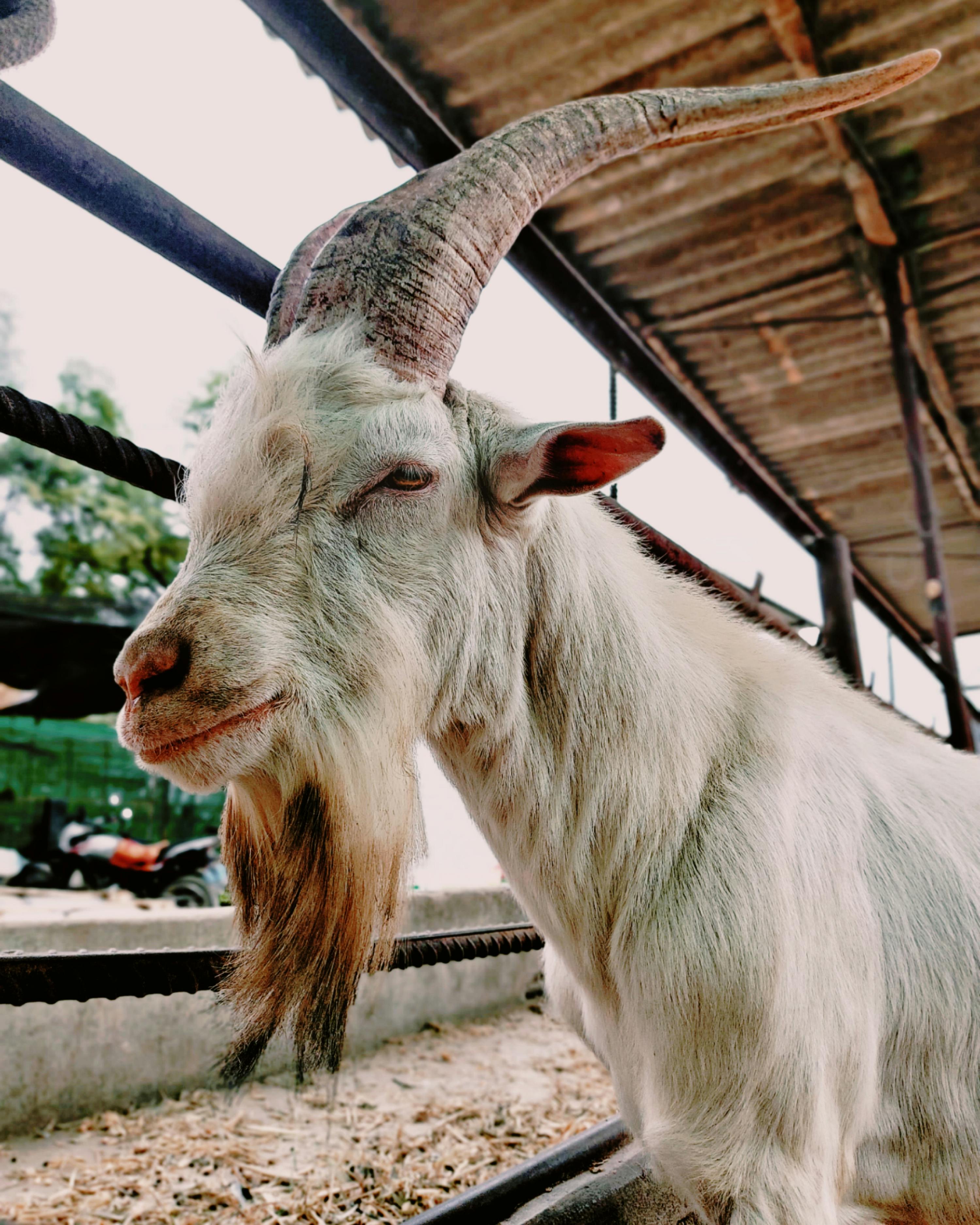 Lidia Sanchez Valenzuela - Fotografie