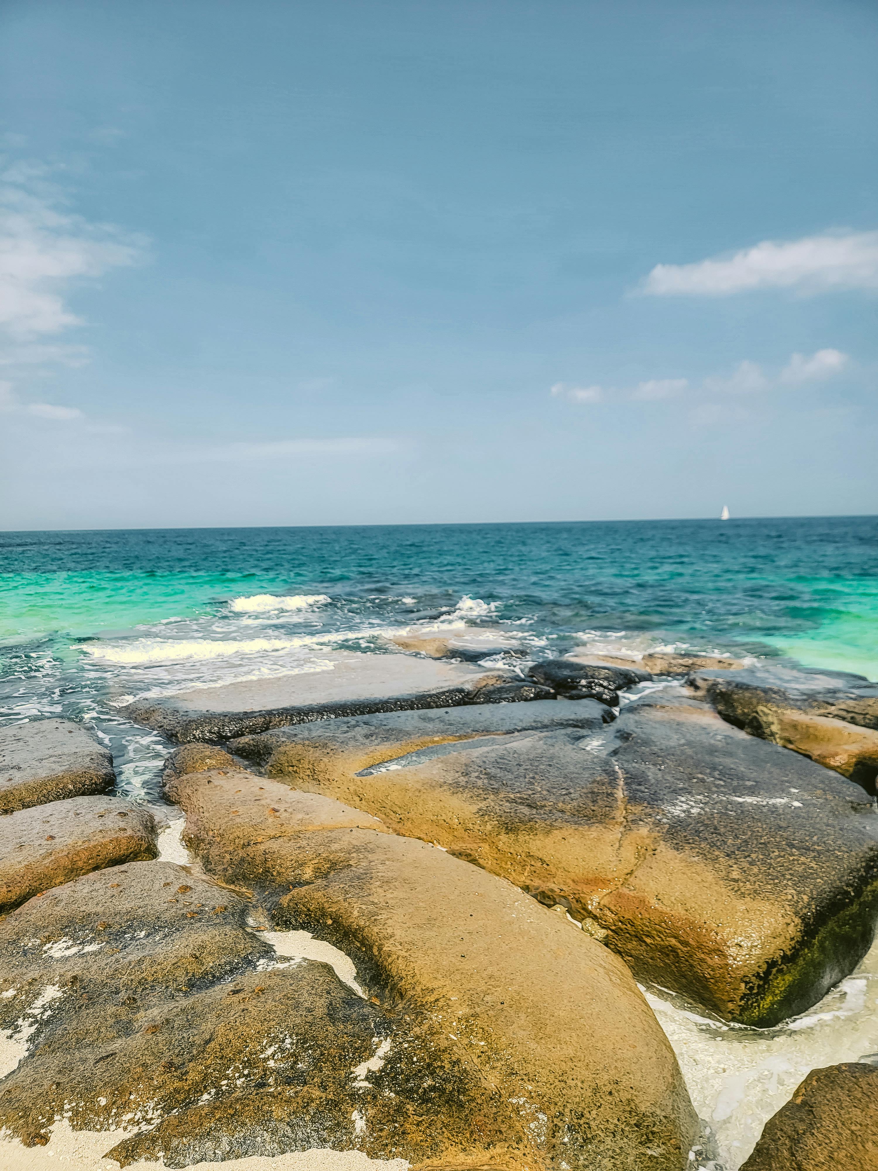 Joel Vaz - Photography