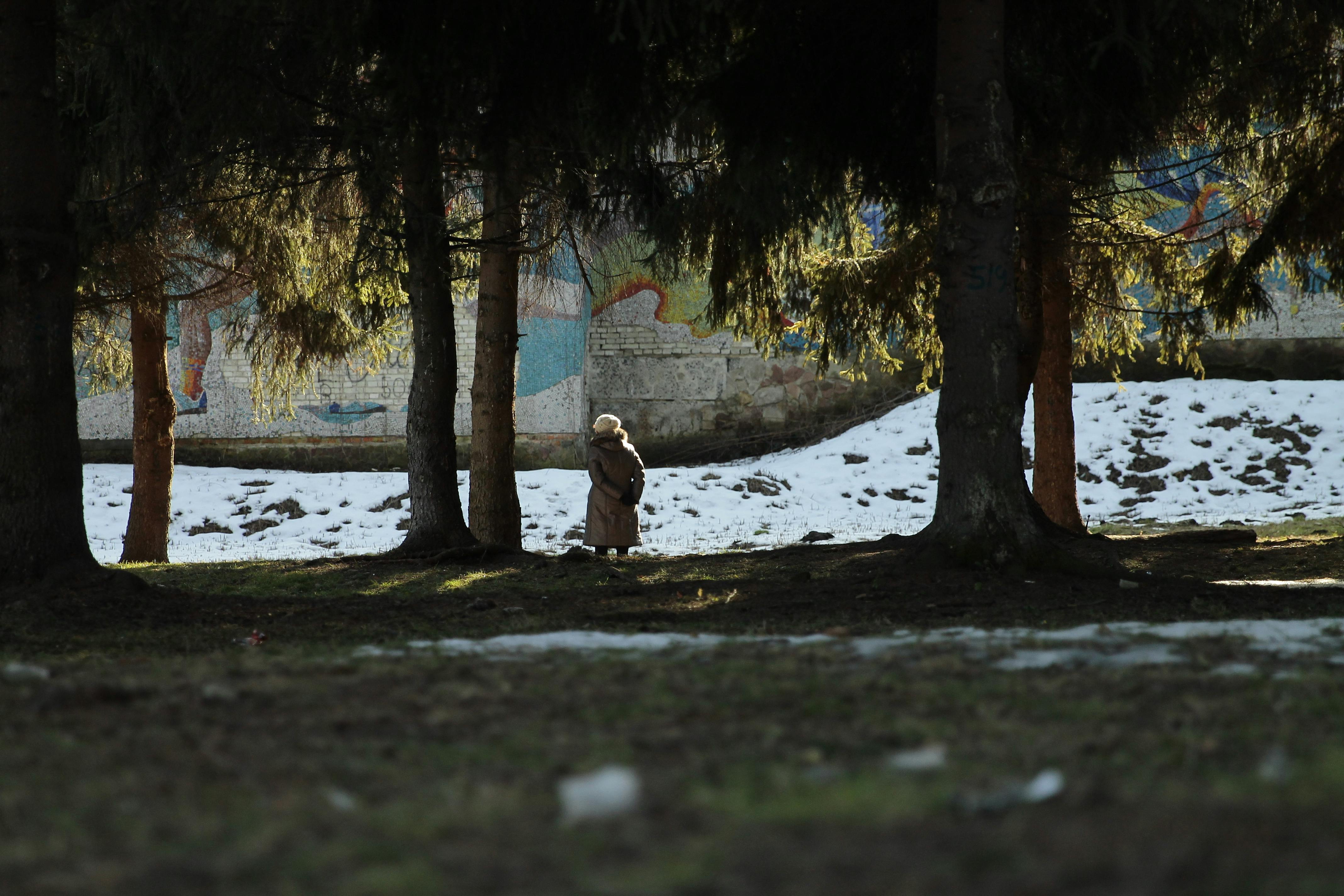 Woman Standing among Trees in Village in Winter · Free Stock Photo