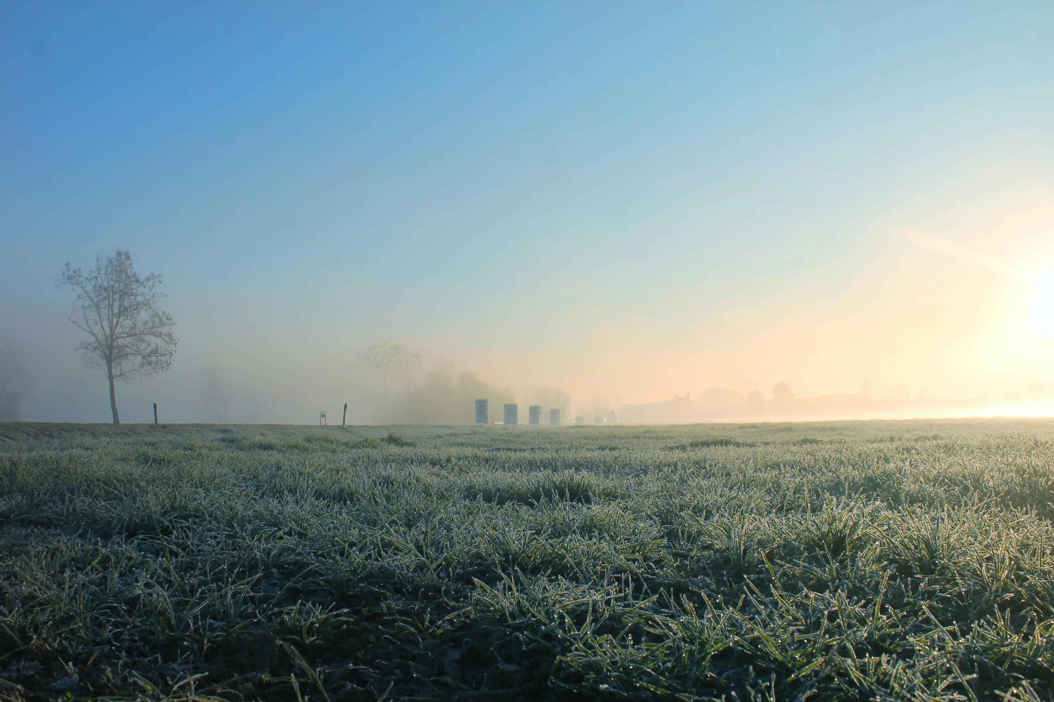 Misty Countryside Landscape with Grass Field Covered with Morning Dew ...