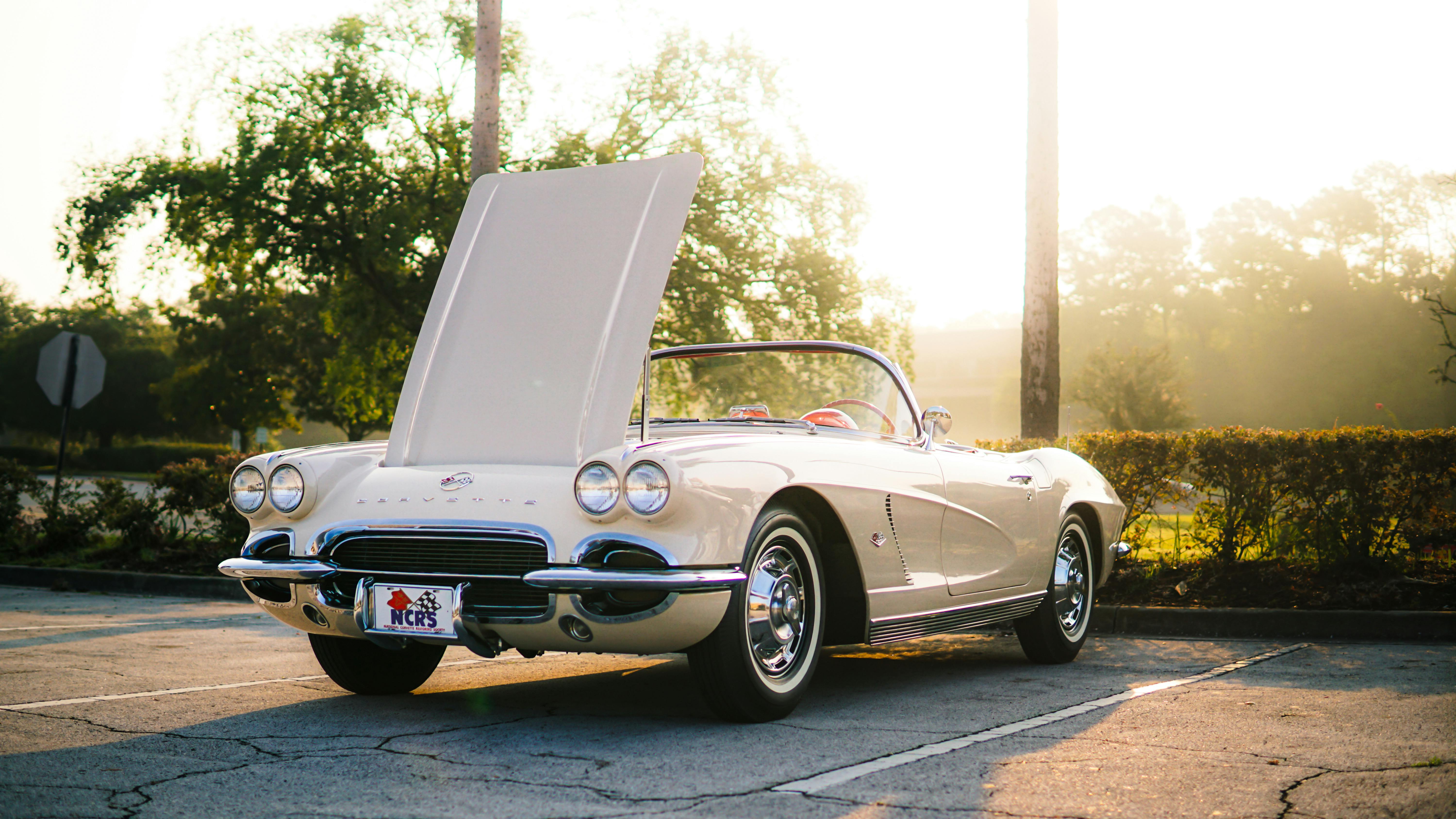 Car Roof Open Photos, Download The BEST Free Car Roof Open Stock Photos ...