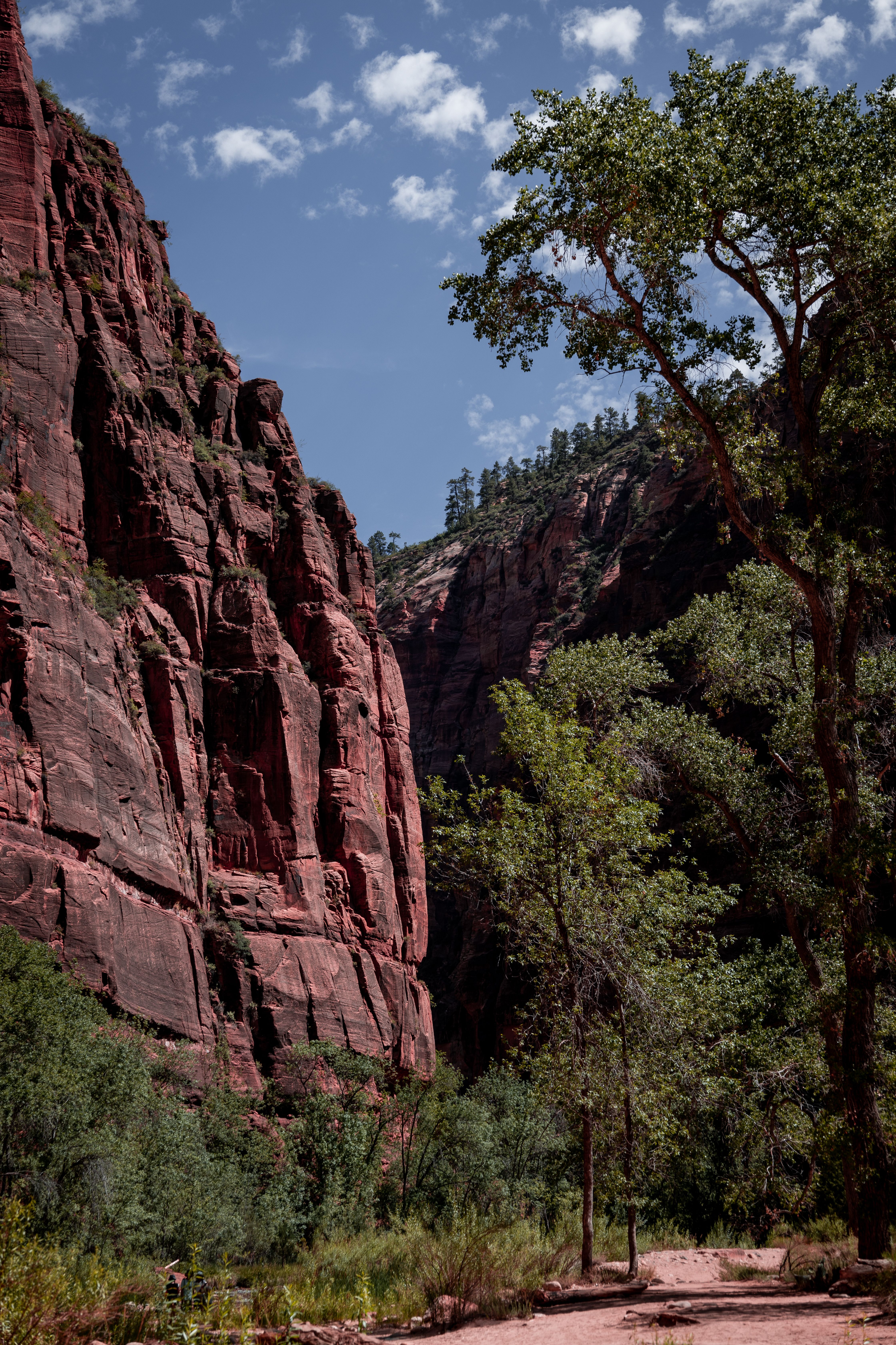 A dirt path leading up to a red rock canyon · Free Stock Photo