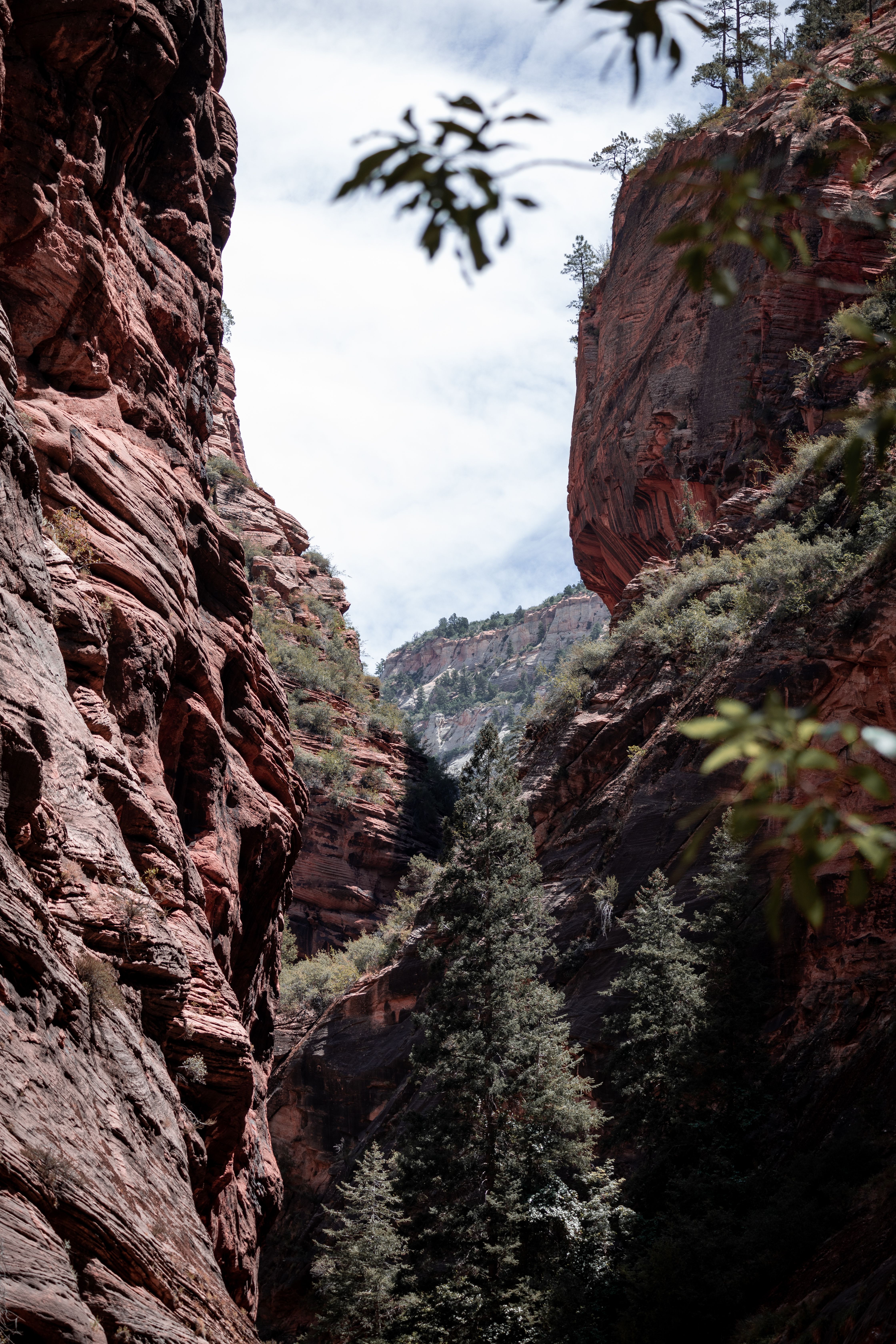 A person is walking through a narrow canyon · Free Stock Photo
